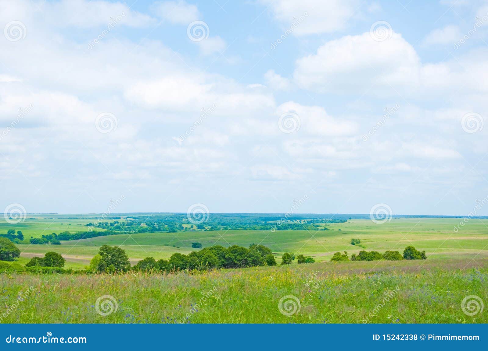 Brede Open Prairie stock foto. Image of hemel, wijd, horizon - 15242338