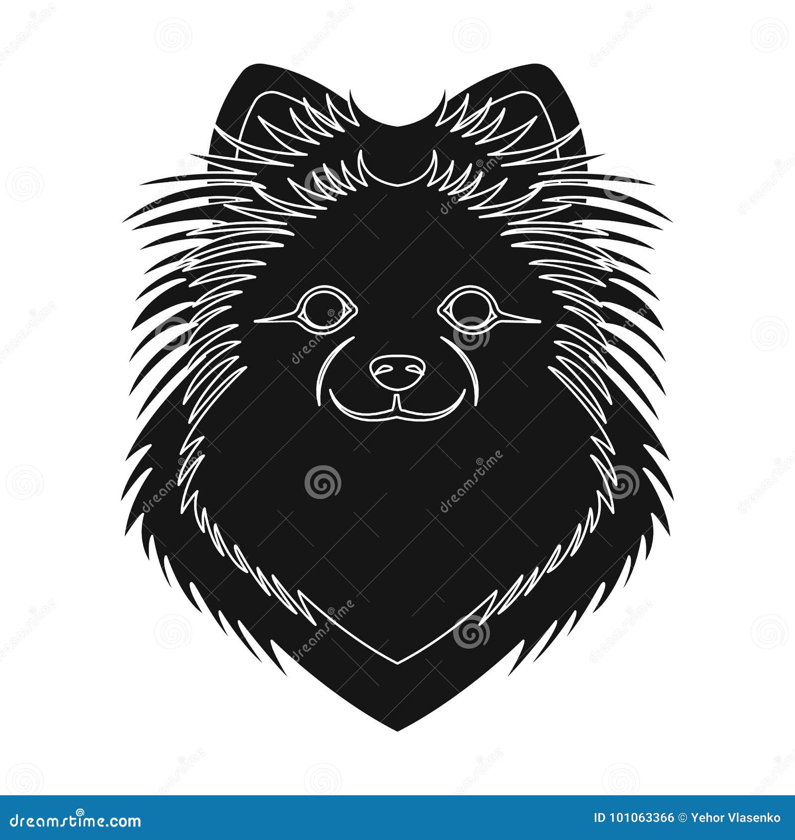 Breed of a Dog, Spitz.Muzzle Spitz Single Icon in Black Style Vector ...