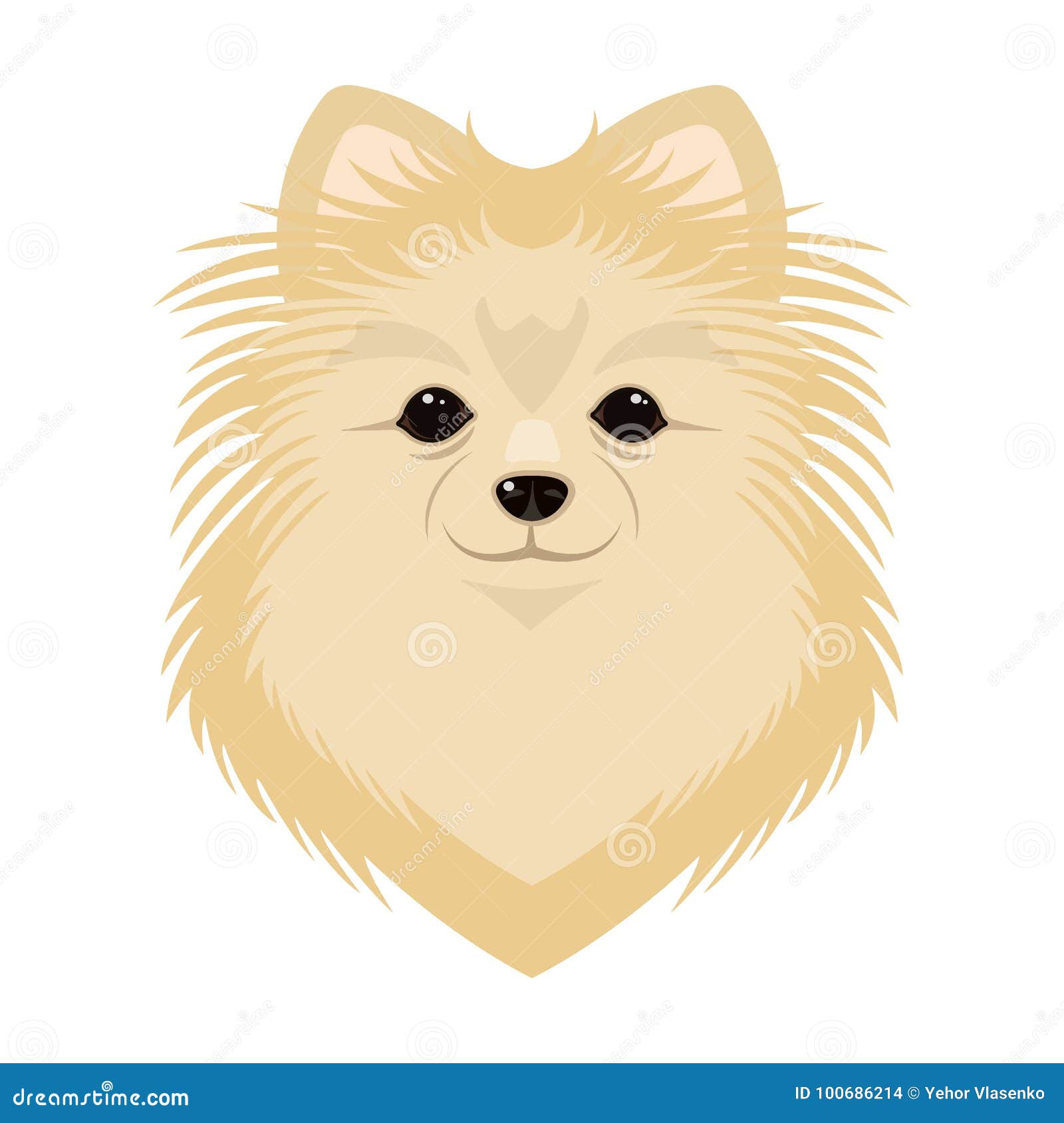 Breed of a Dog, Spitz.Muzzle Spitz Single Icon in Cartoon Style Vector ...