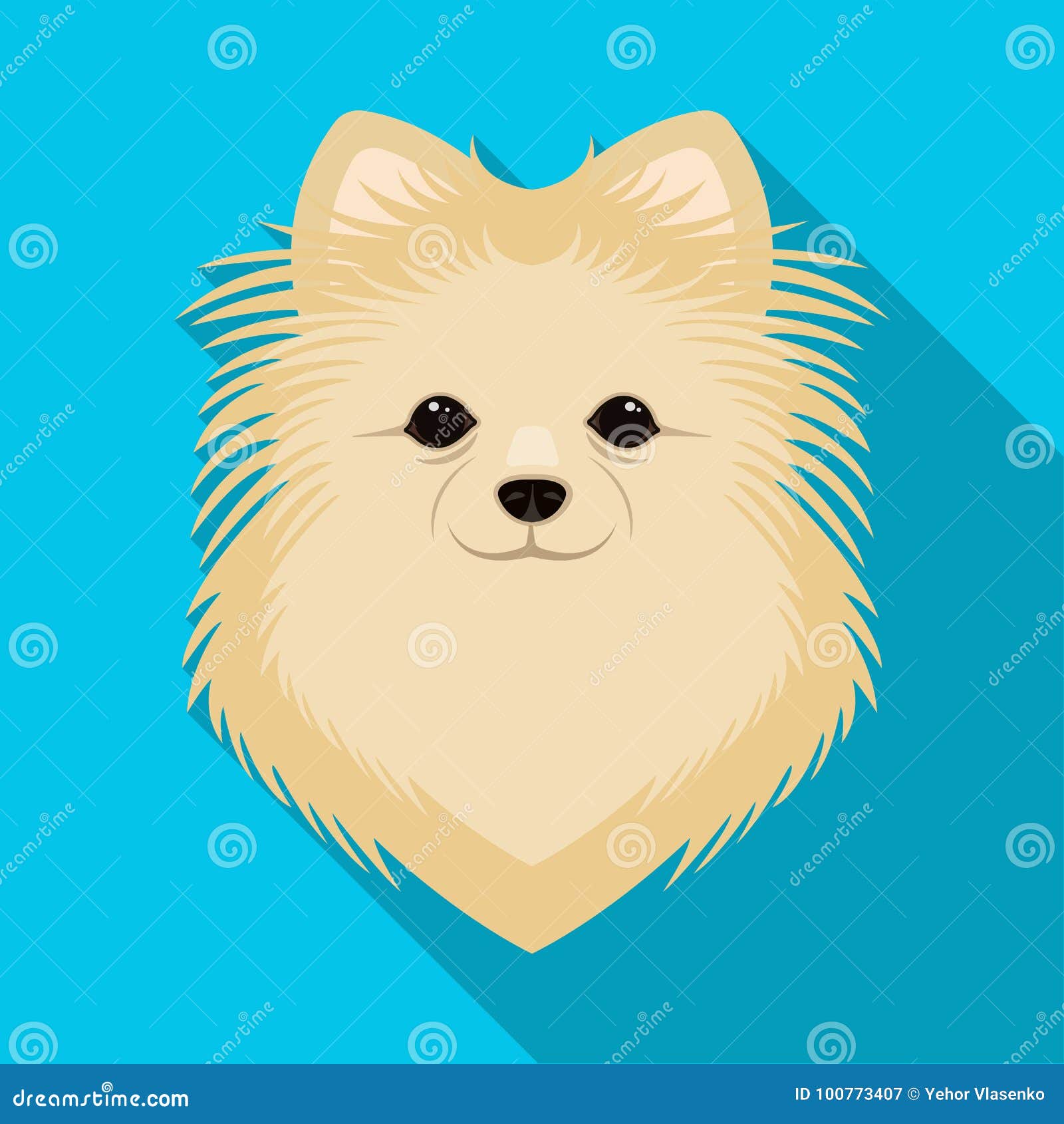 Breed of a Dog, Spitz.Muzzle Spitz Single Icon in Flat Style Vector ...