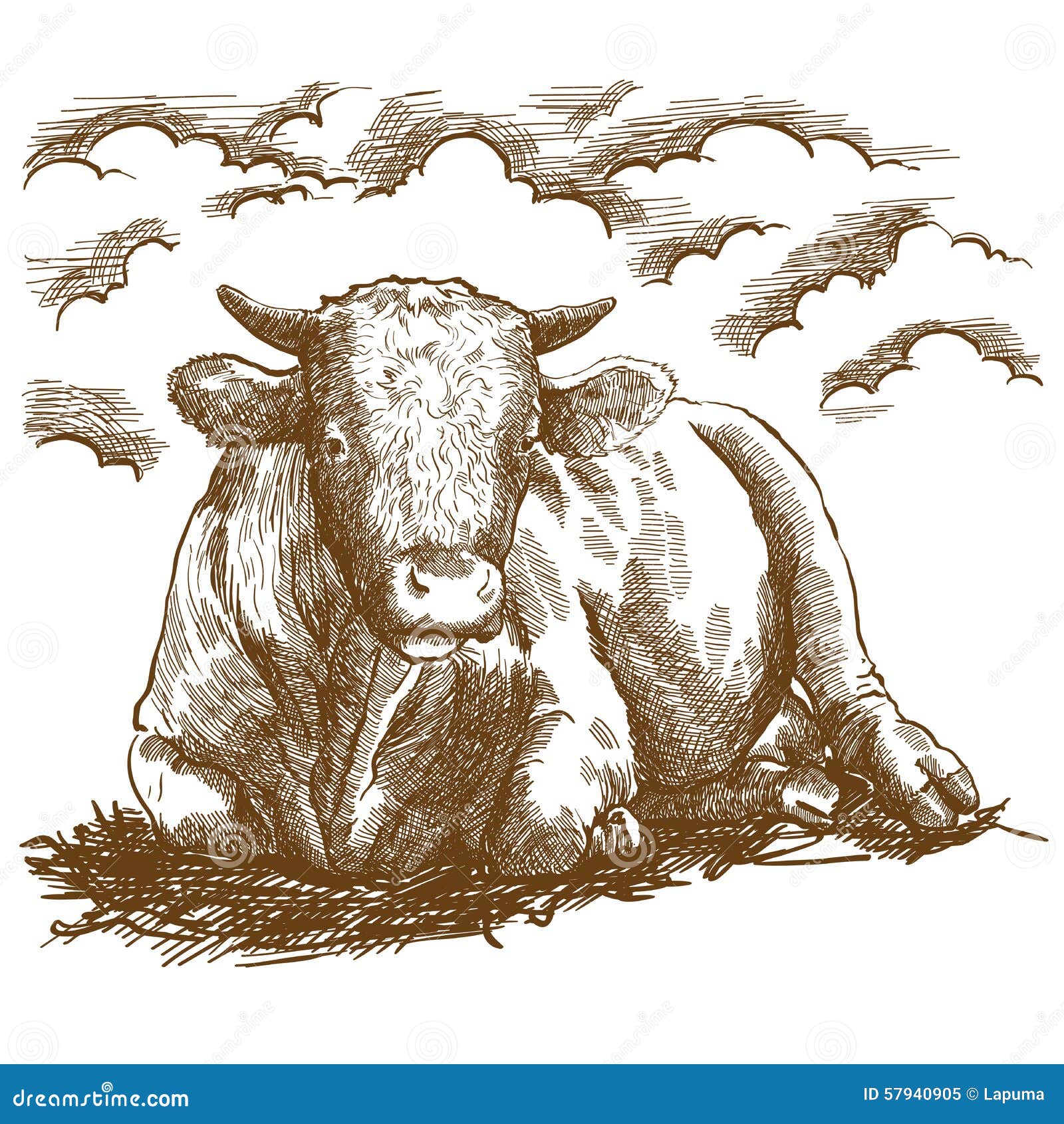 Breeding Cattle Cartoon Vector | CartoonDealer.com #57940905