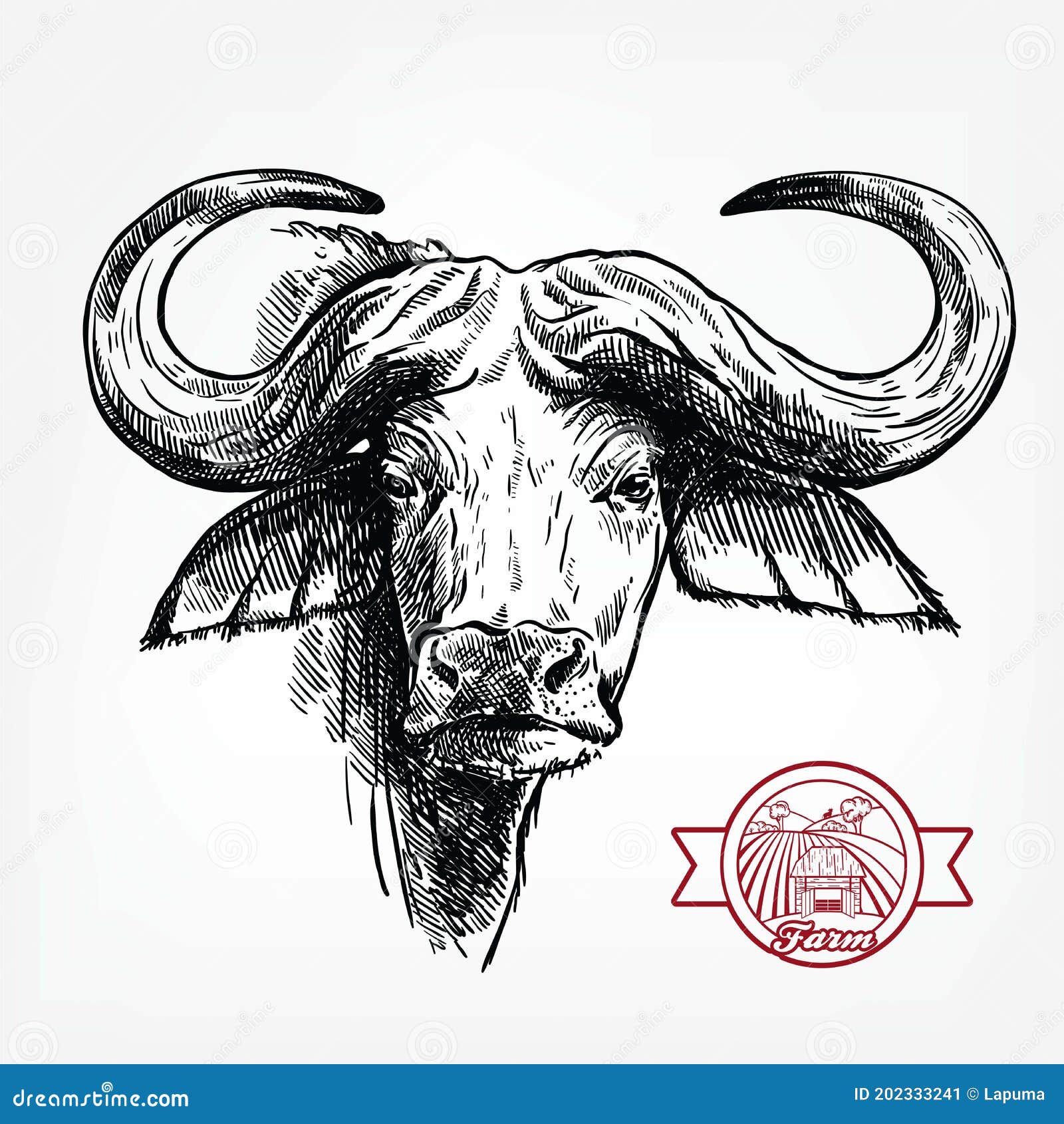 Breeding Cattle. American Bull. Vector Sketch On White Background ...