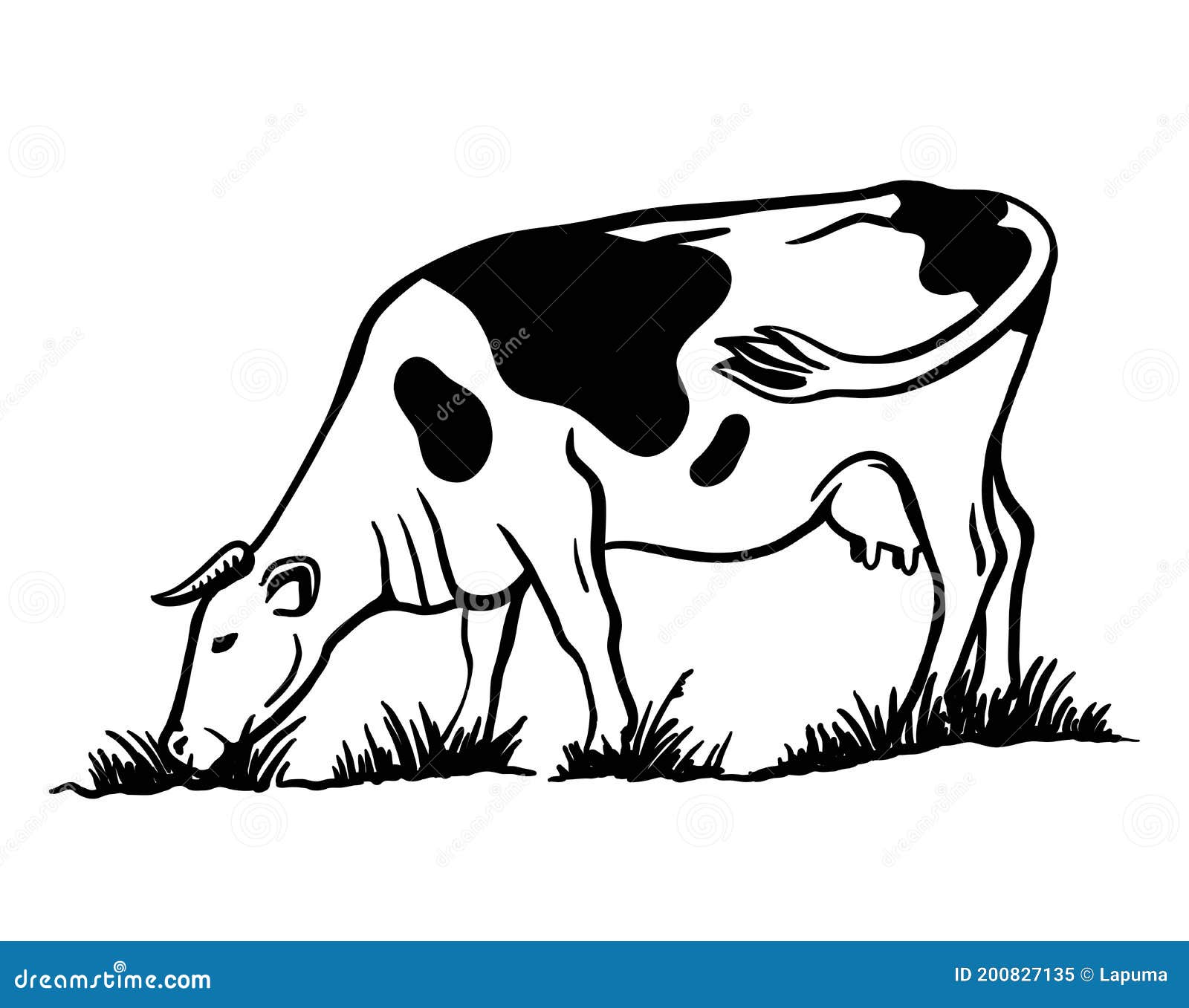Breeding Cattle. Silhouette of a Grazing Cow Stock Vector ...