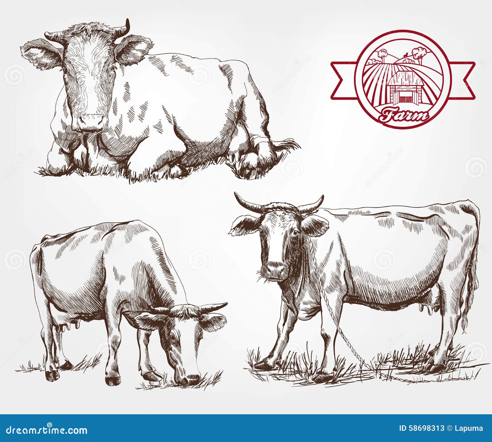 Breeding cows stock vector. Illustration of decoration - 58698313