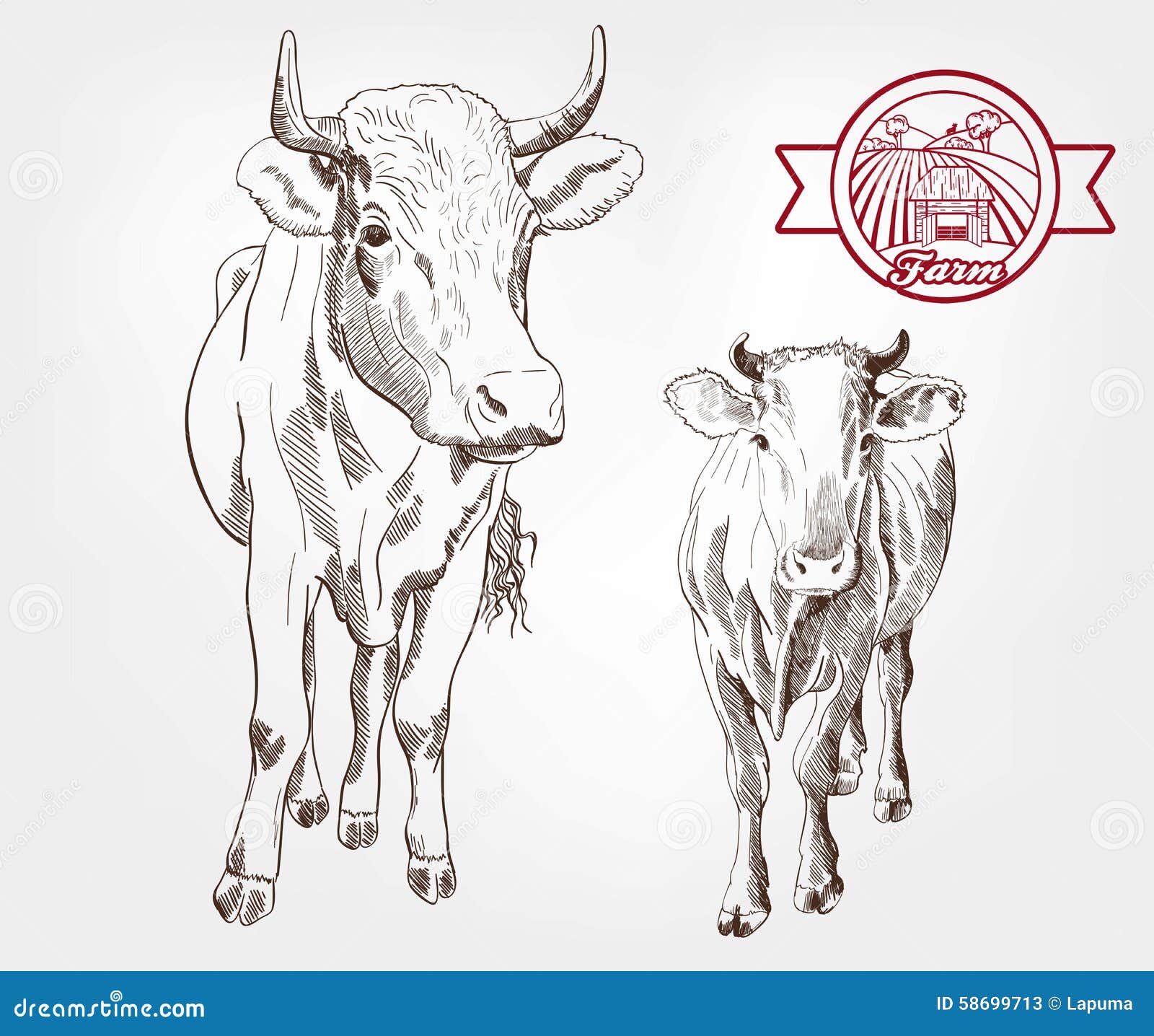 Breeding cows stock vector. Illustration of cattle, industry - 58699713