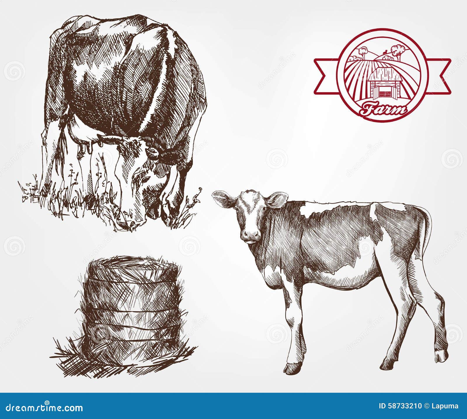 Breeding cows stock vector. Illustration of bovine, horns - 58733210