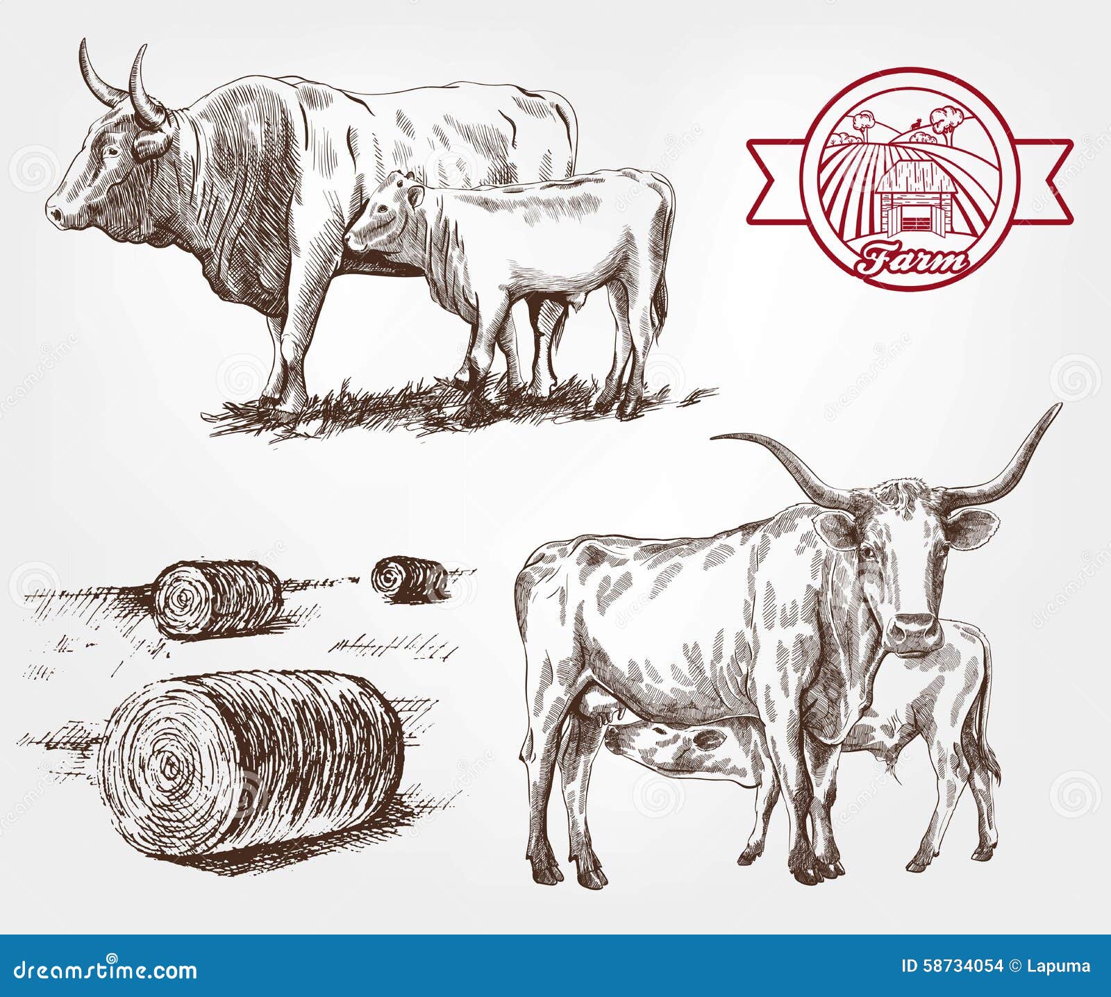 Breeding cows stock vector. Illustration of hooves, calf - 58734054