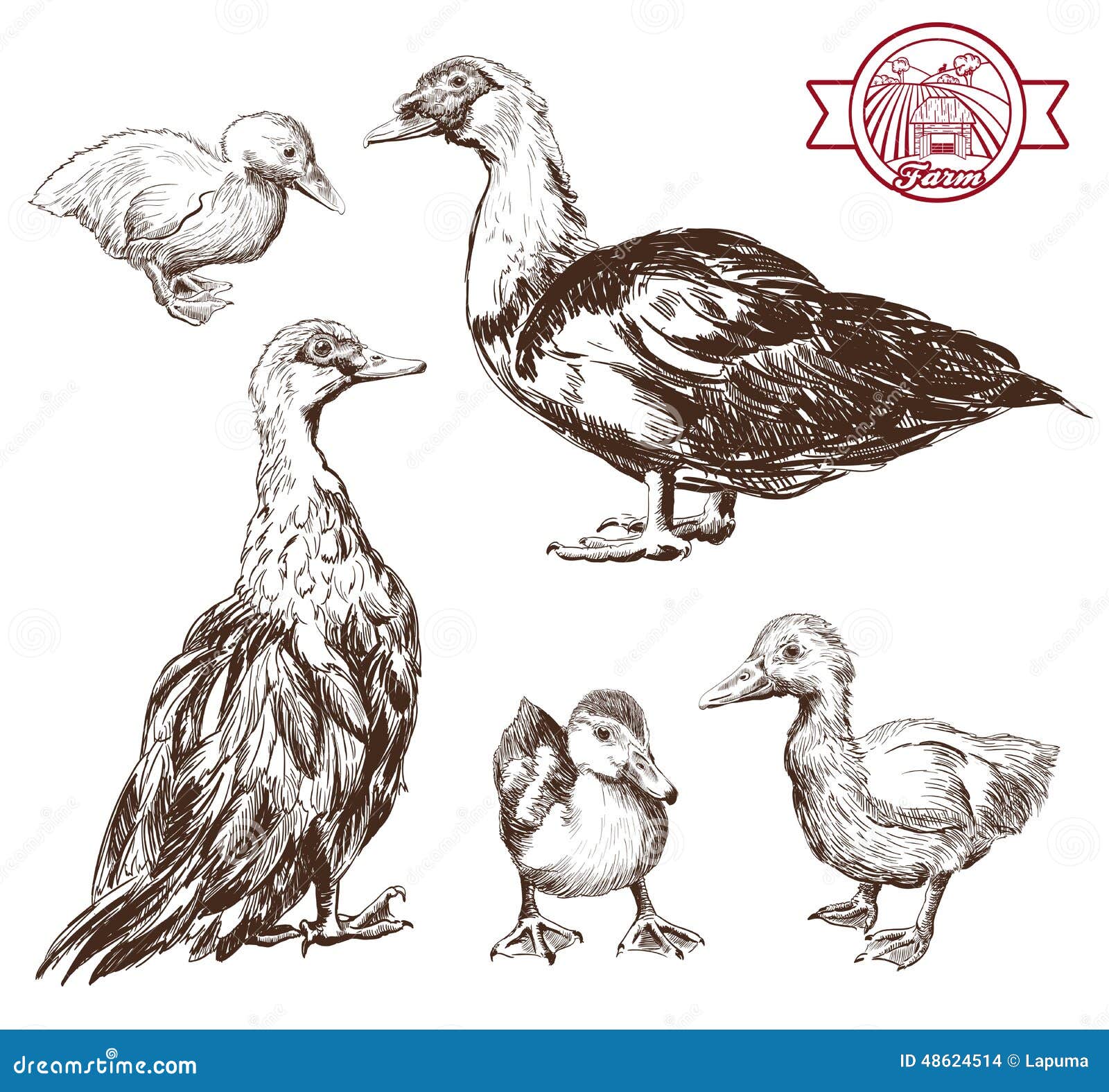 Breeding Cartoons, Illustrations & Vector Stock Images - 19662 Pictures ...