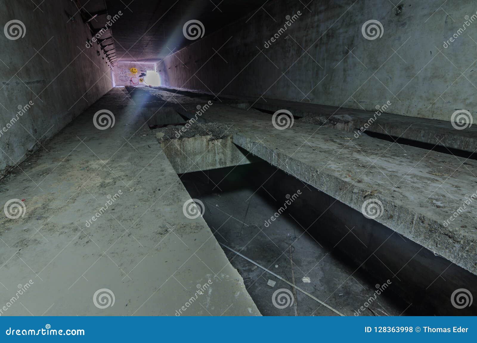 Breeding Factory Hall with a Long Hall Stock Photo - Image of industry ...