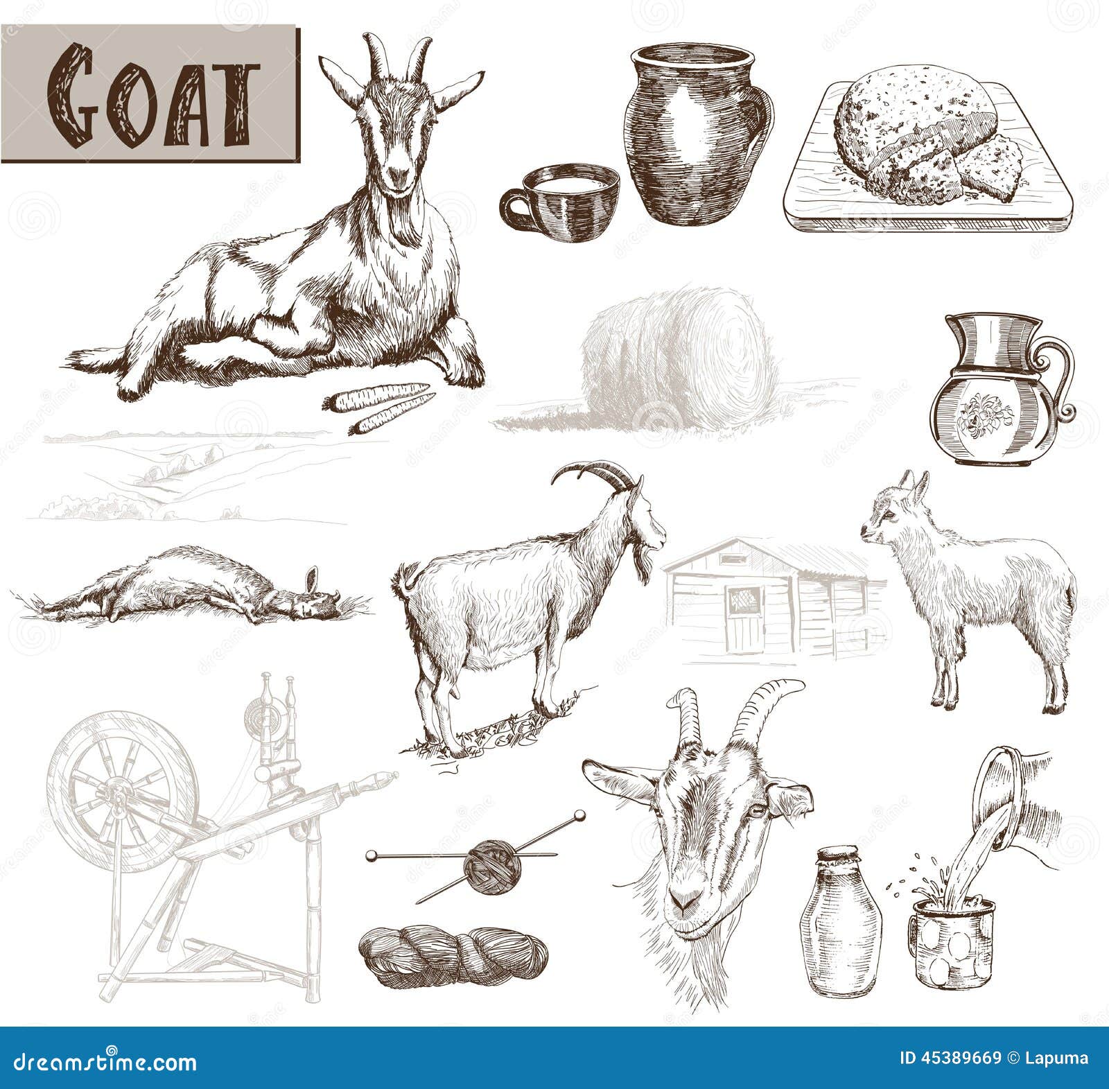 Artiodactyl, Ruminant Animal. Cow - Cattle Royalty-Free Stock Image ...