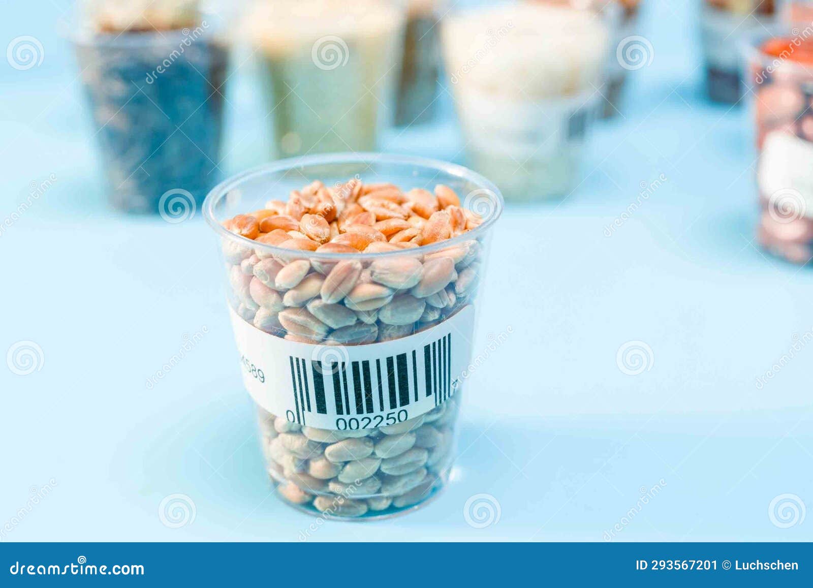 Breeding for Improved Water Use Efficiency: Creating Crops that Require ...