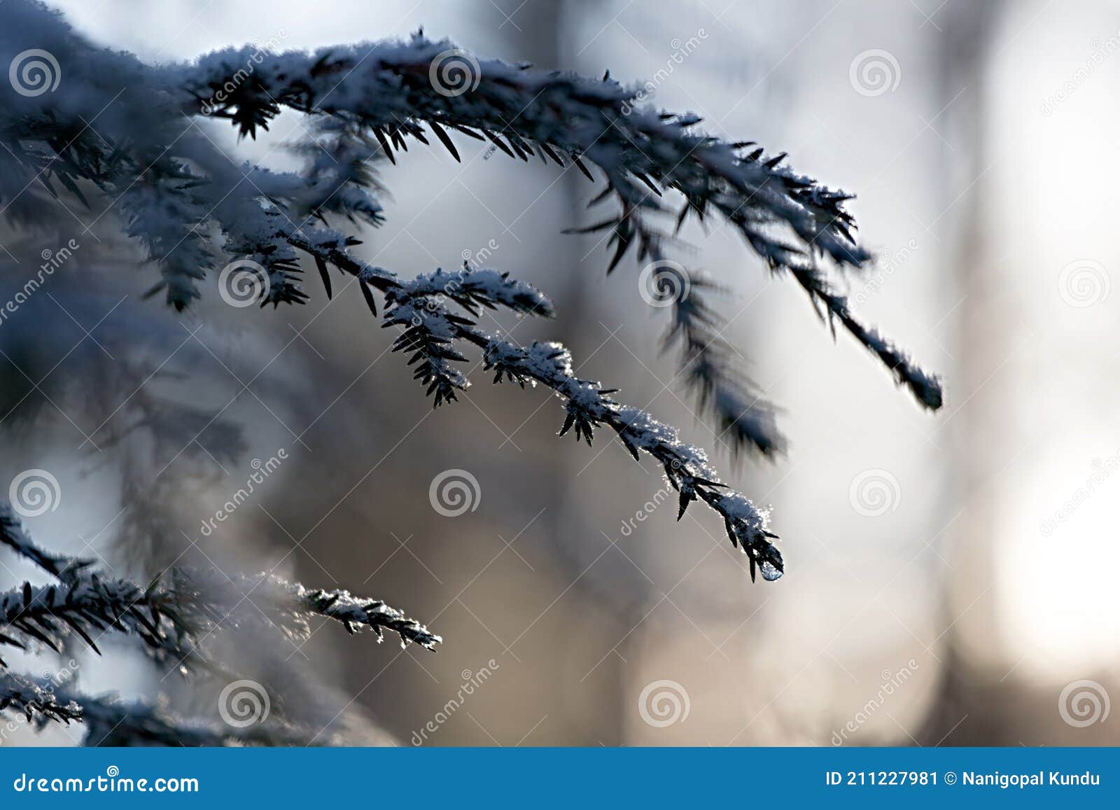 BREEZE stock image. Image of beautiful, snow, breeze - 211227981