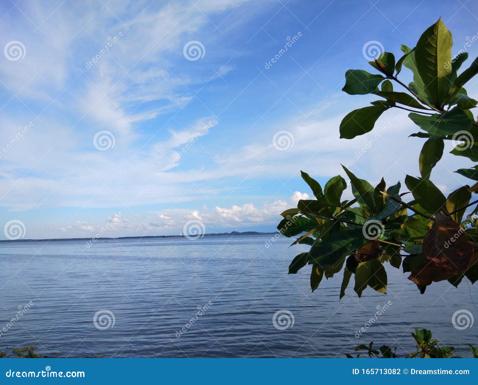 Breeze Sea Sunshine Island Chill Stock Photo - Image of chill, breeze ...