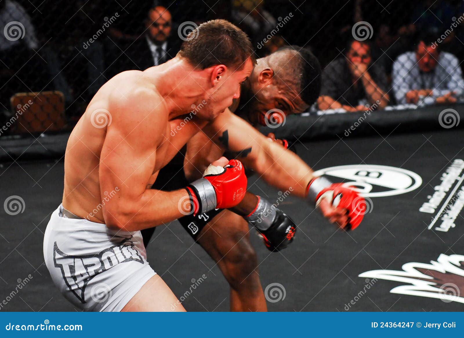 Brennan Ward Punches Harley Beekman Editorial Photography - Image of ...