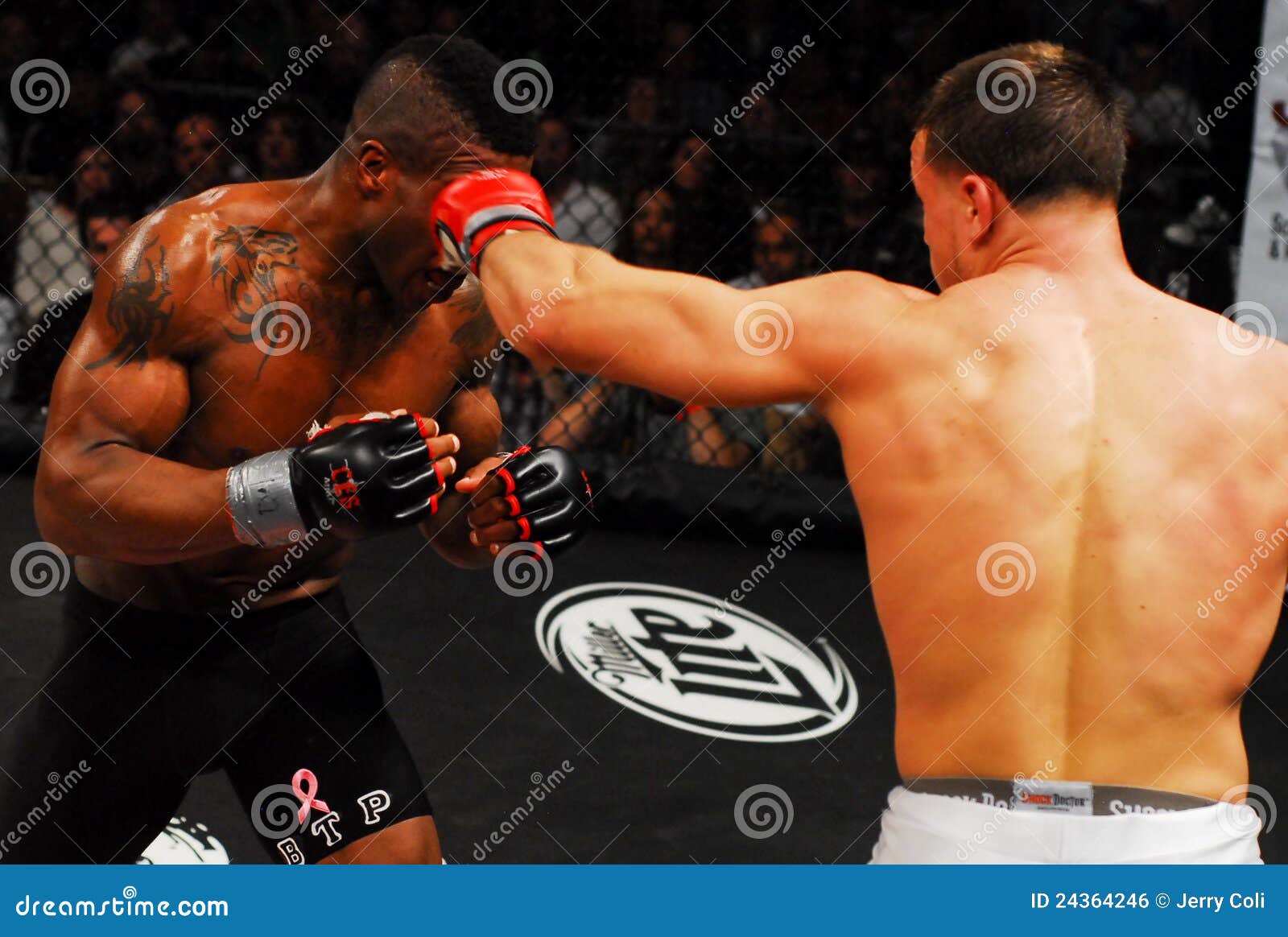 Brennan Ward V. Harley Beekman, MMA Editorial Photo - Image of punch ...