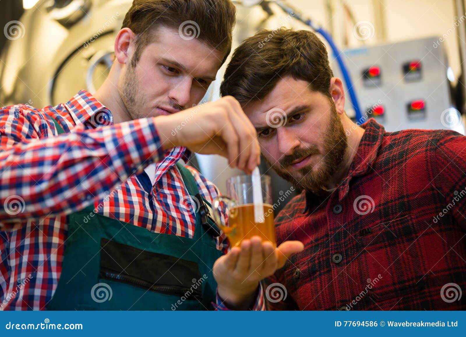 Brewers testing beer stock photo. Image of distillery - 77694586