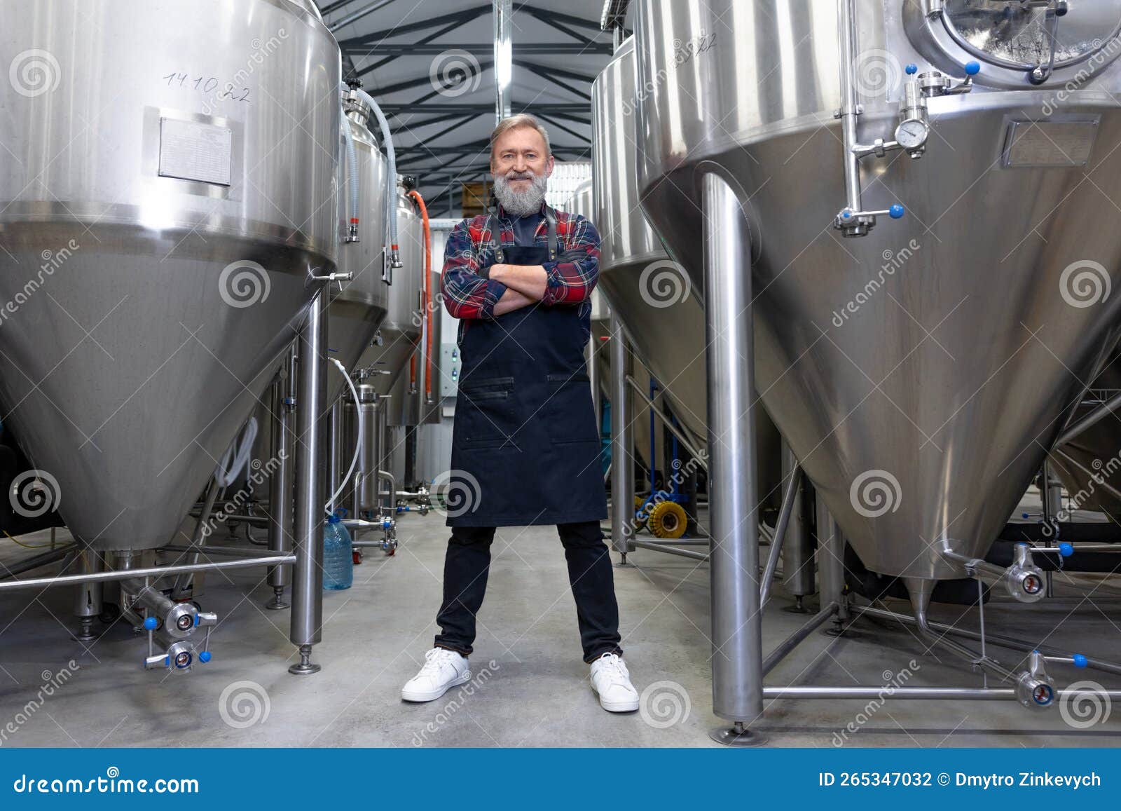 Brewery Worker Standing Near the Metal Tanks and Looking Determined ...