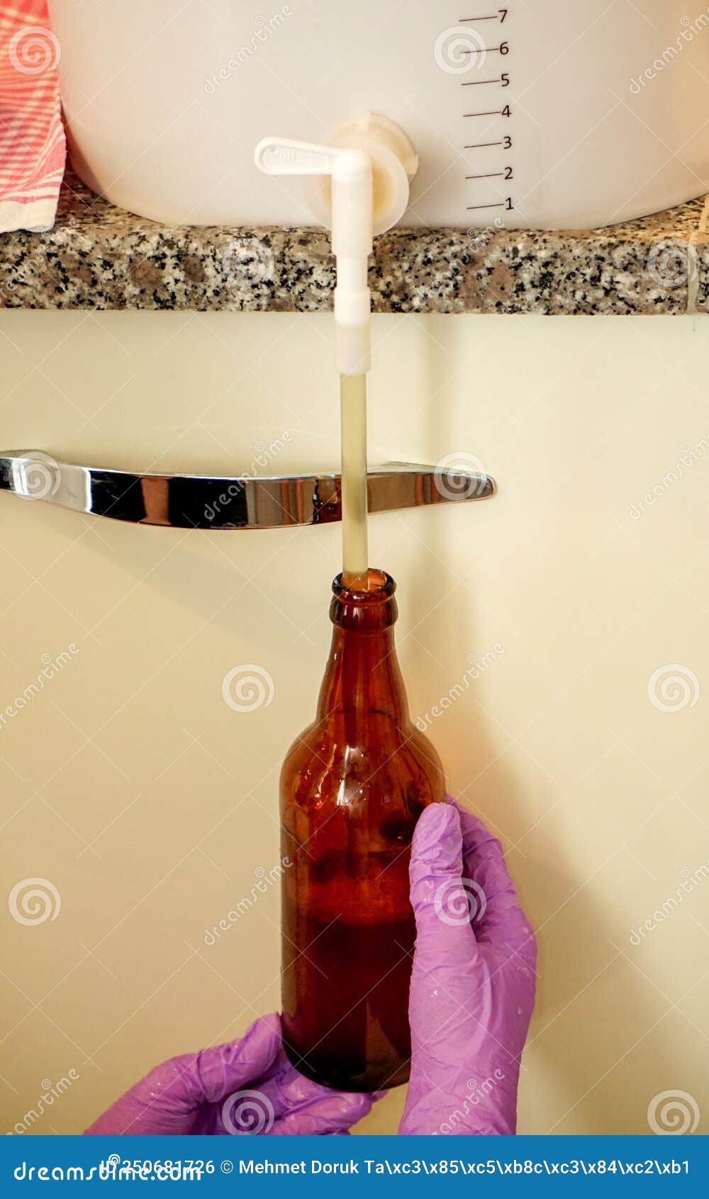Brewing Home Beer Process at Home in the Kitchen Stock Photo - Image of ...