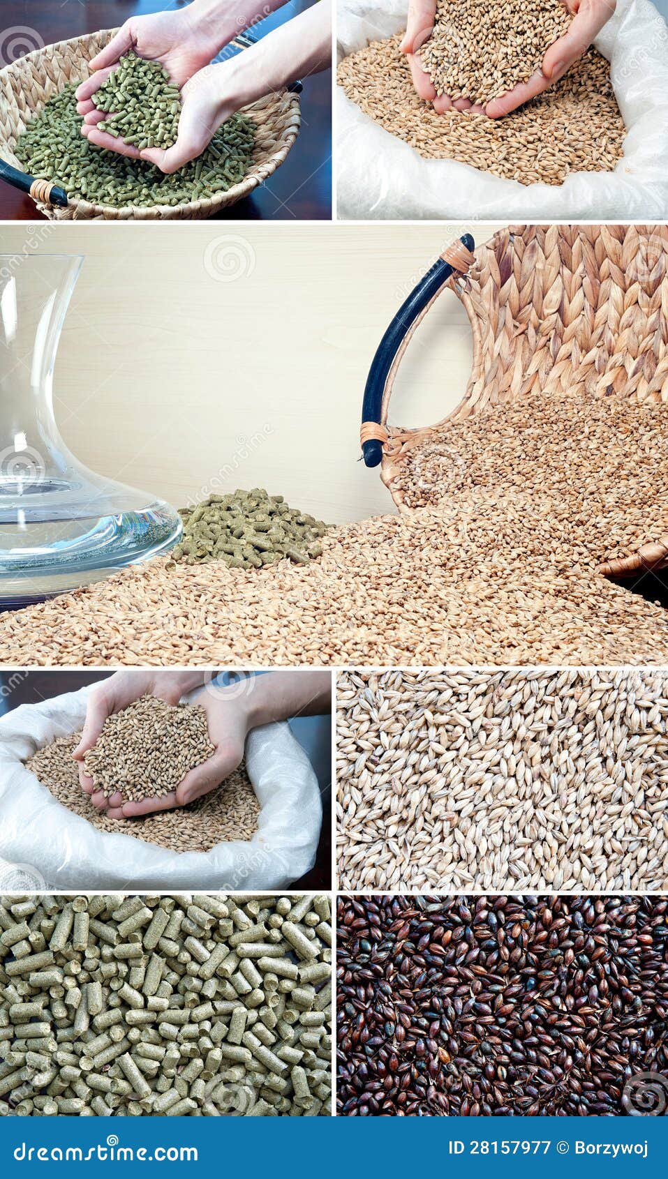 Brewing ingredients stock image. Image of flavor, malted - 28157977