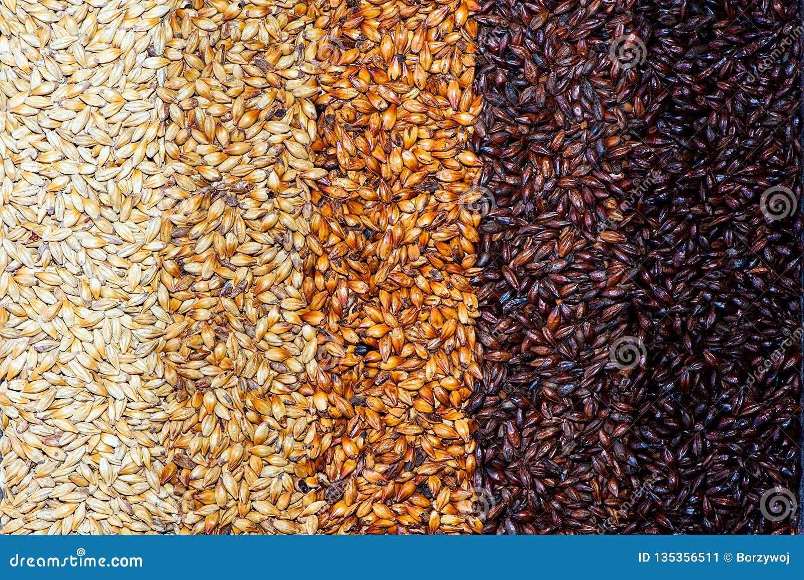 Brewing malt background stock image. Image of malt, lines - 135356511