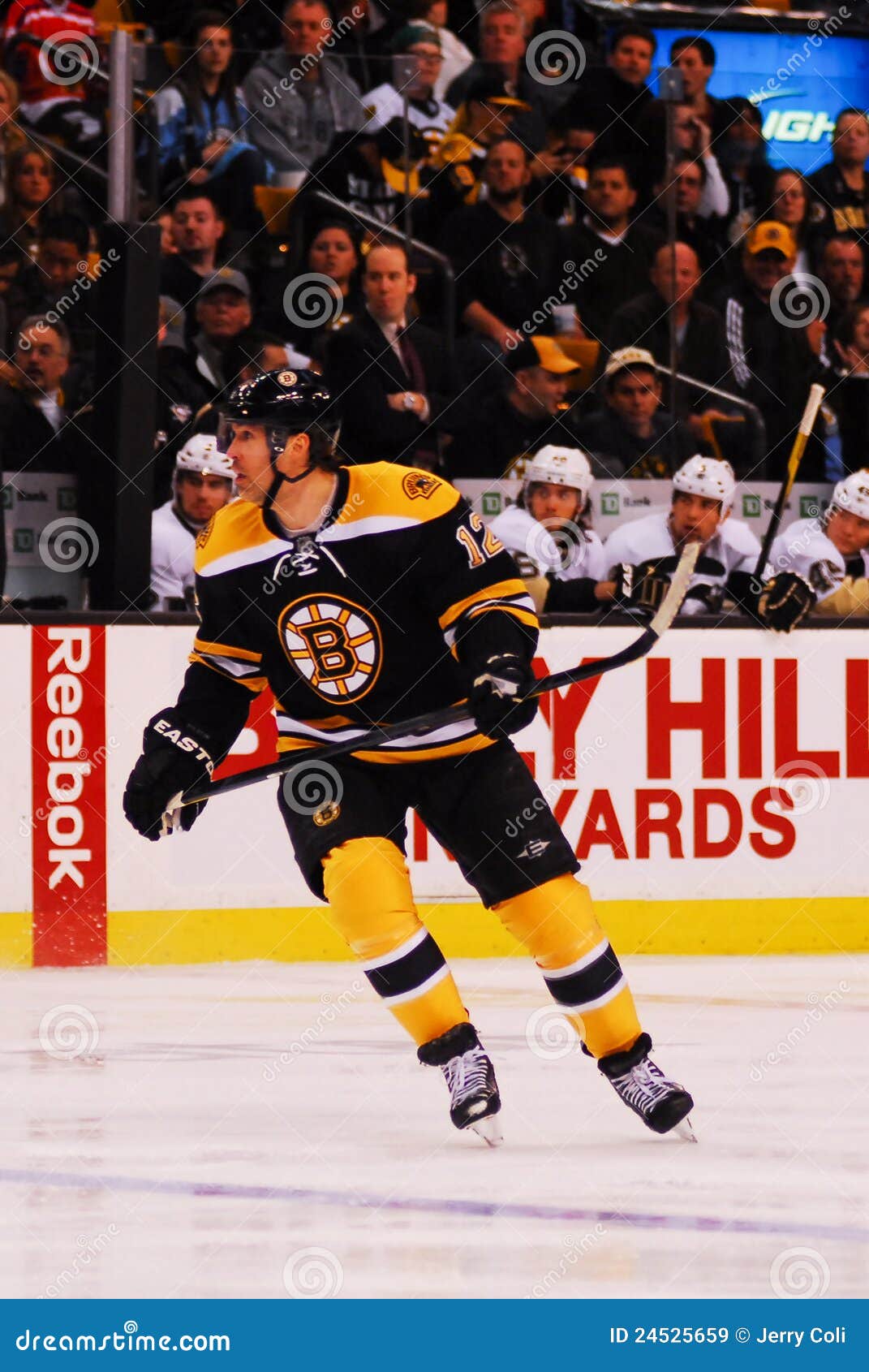 Brian Rolston Boston Bruins Immagine Stock Editoriale - Immagine di ...
