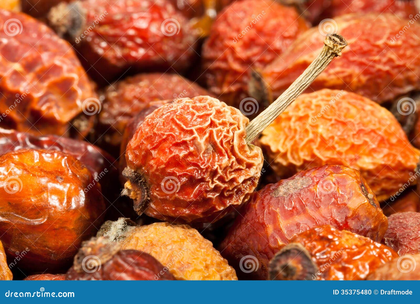 Briar dry stock photo. Image of natural, healthy, food - 35375480