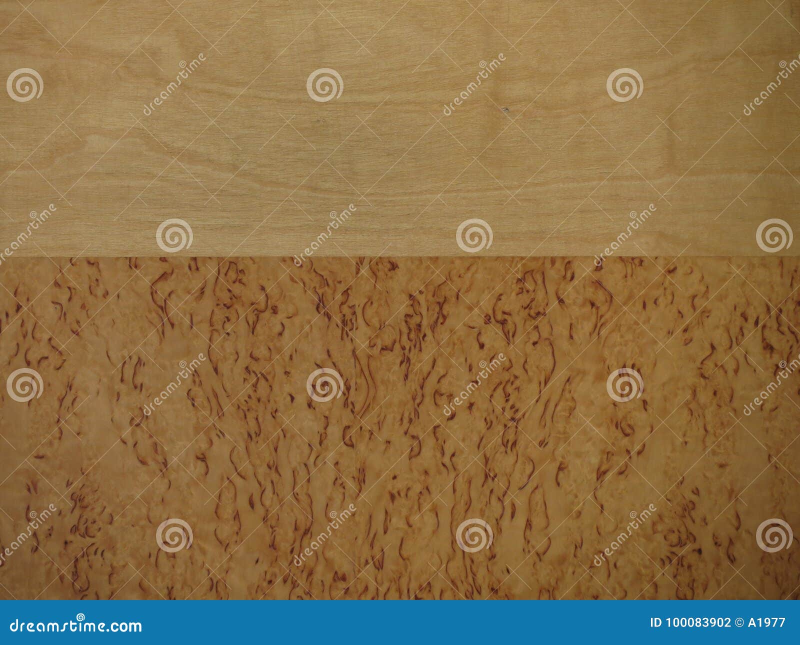 Briar-root Wood Texture Royalty-Free Stock Photography | CartoonDealer ...