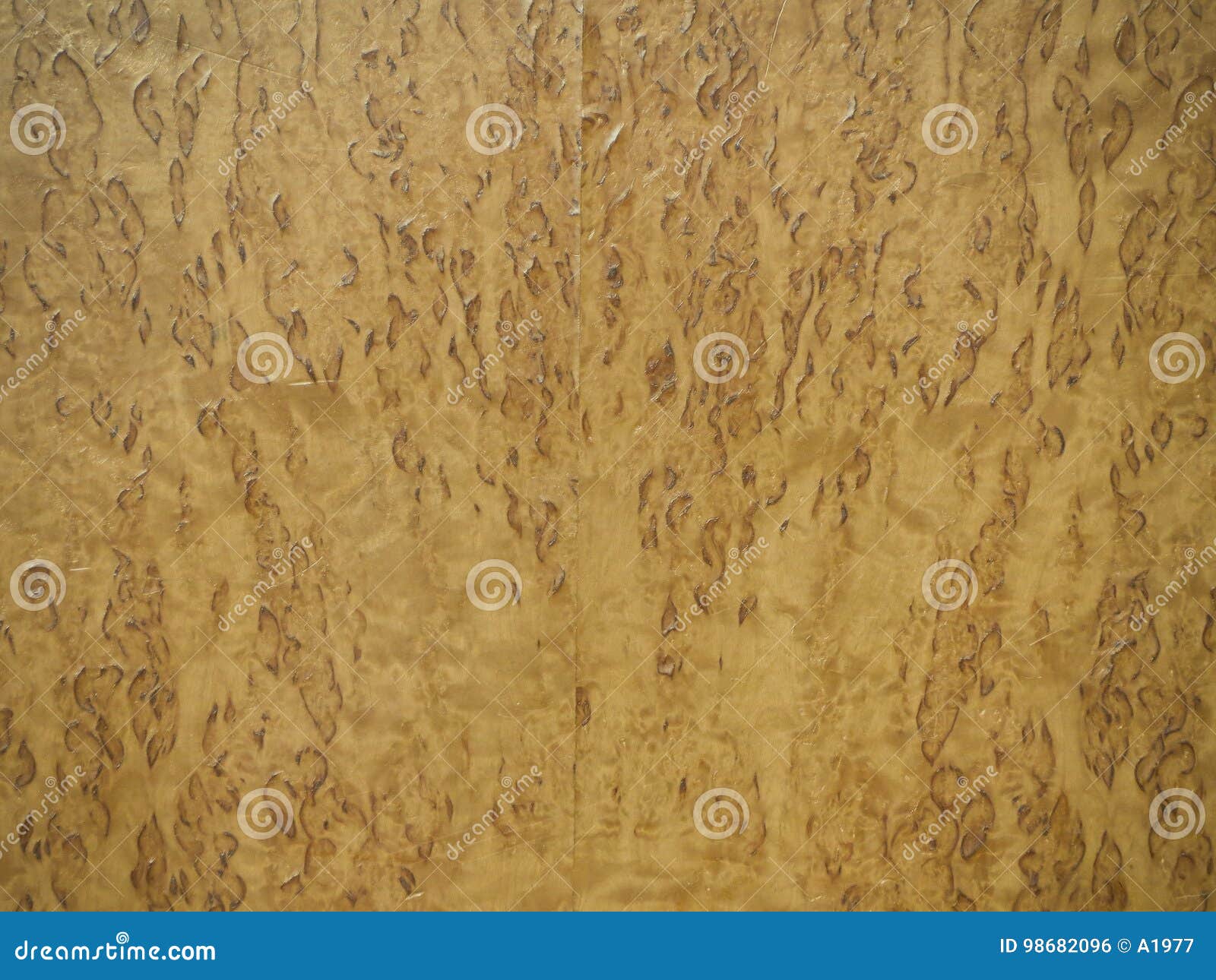 Briar root wood stock photo. Image of pattern, background - 98682096