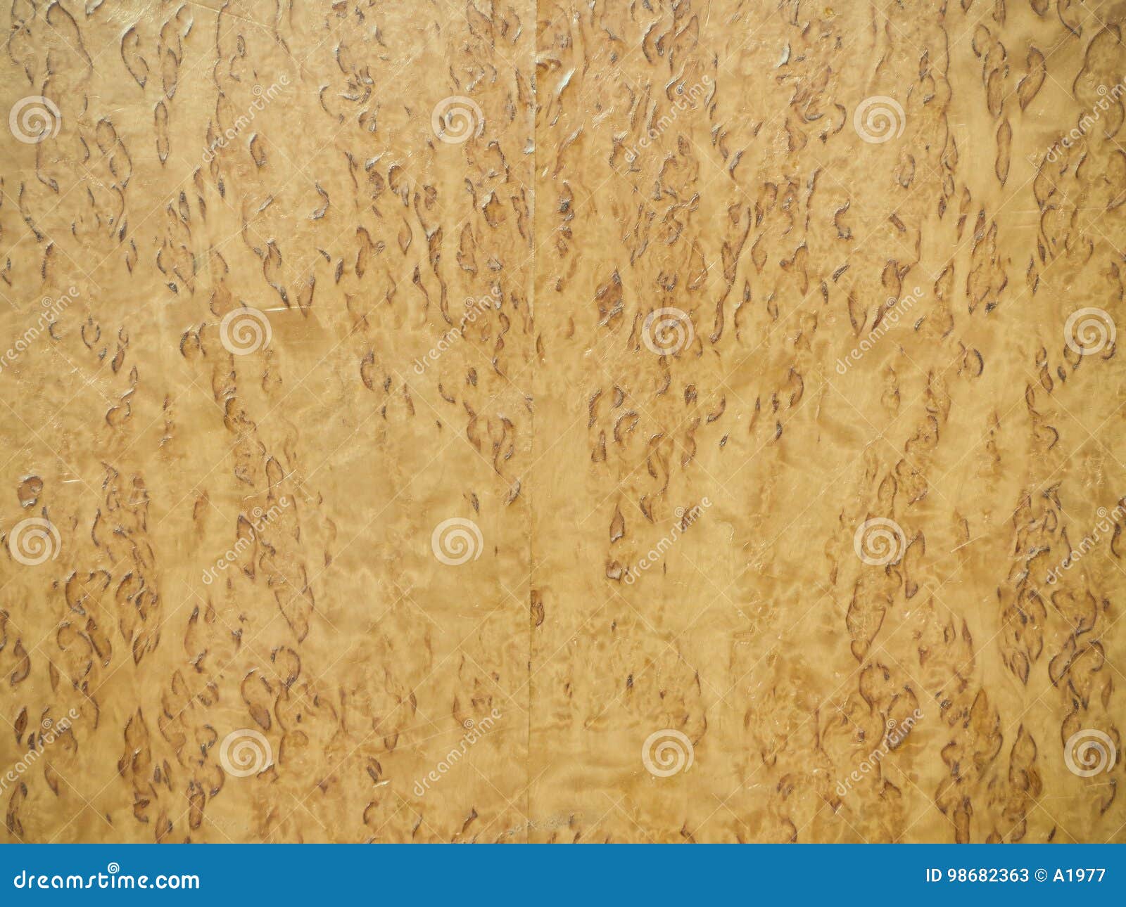 Briar root wood stock image. Image of stylish, brier - 98682363