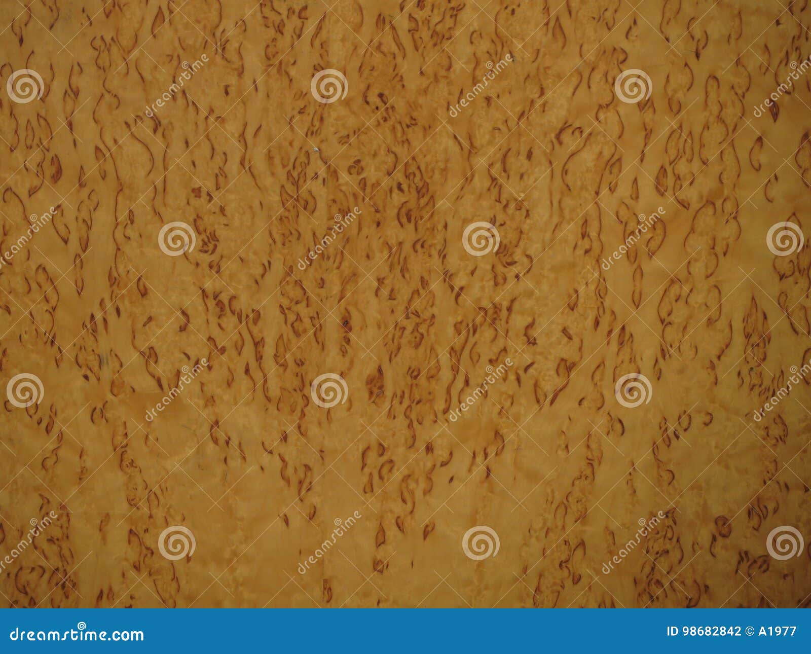 Briar root wood stock photo. Image of briar, root, background - 98682842