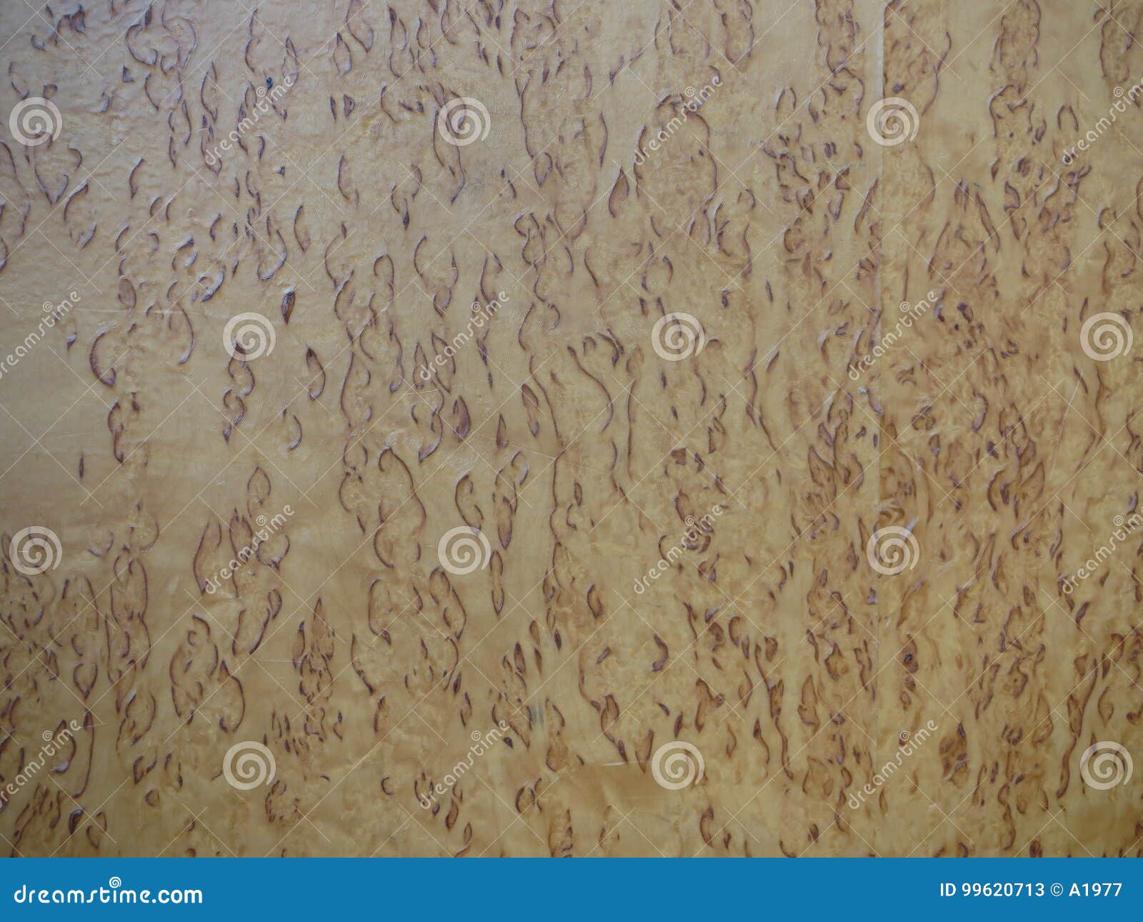 Briar root wood stock image. Image of expensive, quality - 99620713