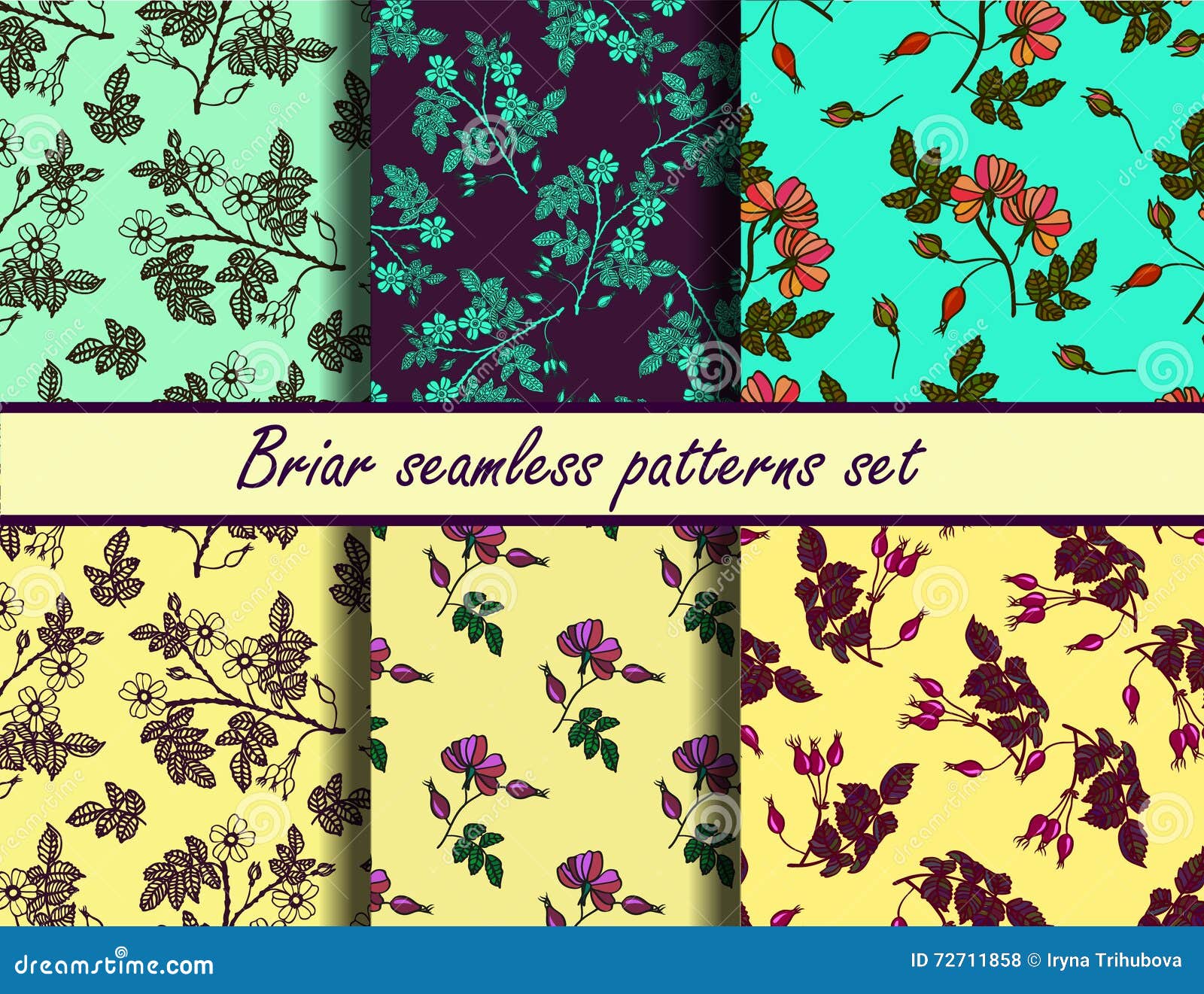 Briar Seamless Patterns Set Stock Vector - Illustration of herb ...