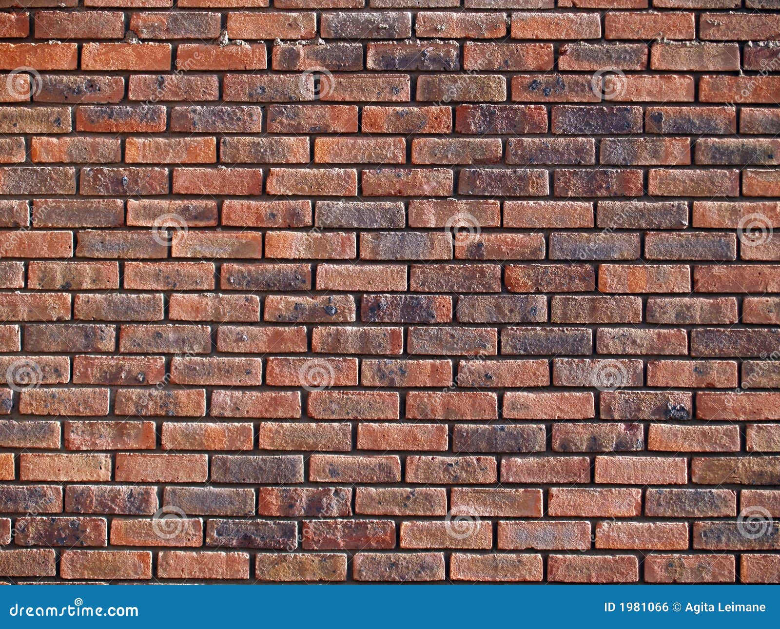 Brick background stock photo. Image of building, cement - 1981066