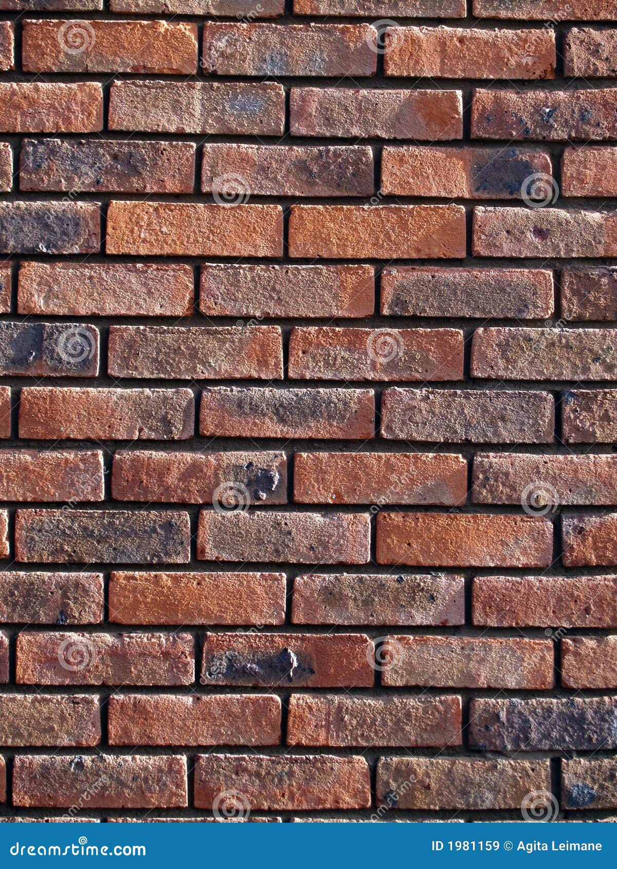 Brick background stock image. Image of detail, geometrical - 1981159