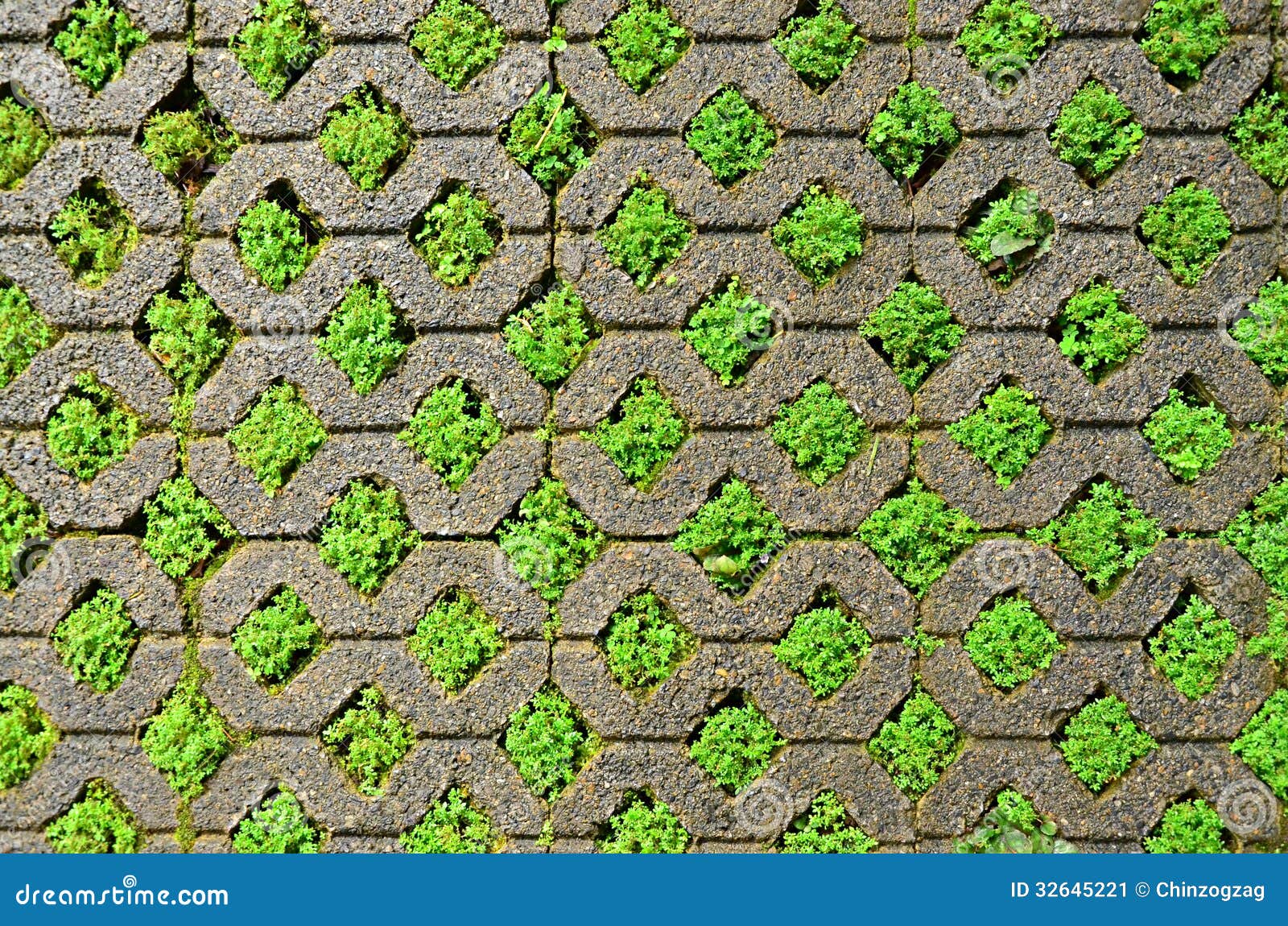 Brick block with grass. stock image. Image of closeup - 32645221