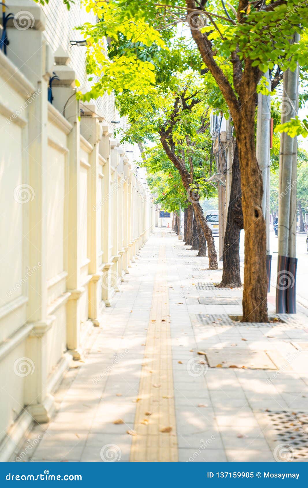 21,765 Town Pathway Photos - Free & Royalty-Free Stock Photos from ...