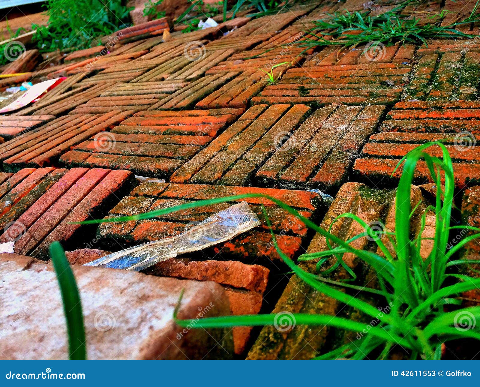 Fiool Stock Photos - Free & Royalty-Free Stock Photos from Dreamstime