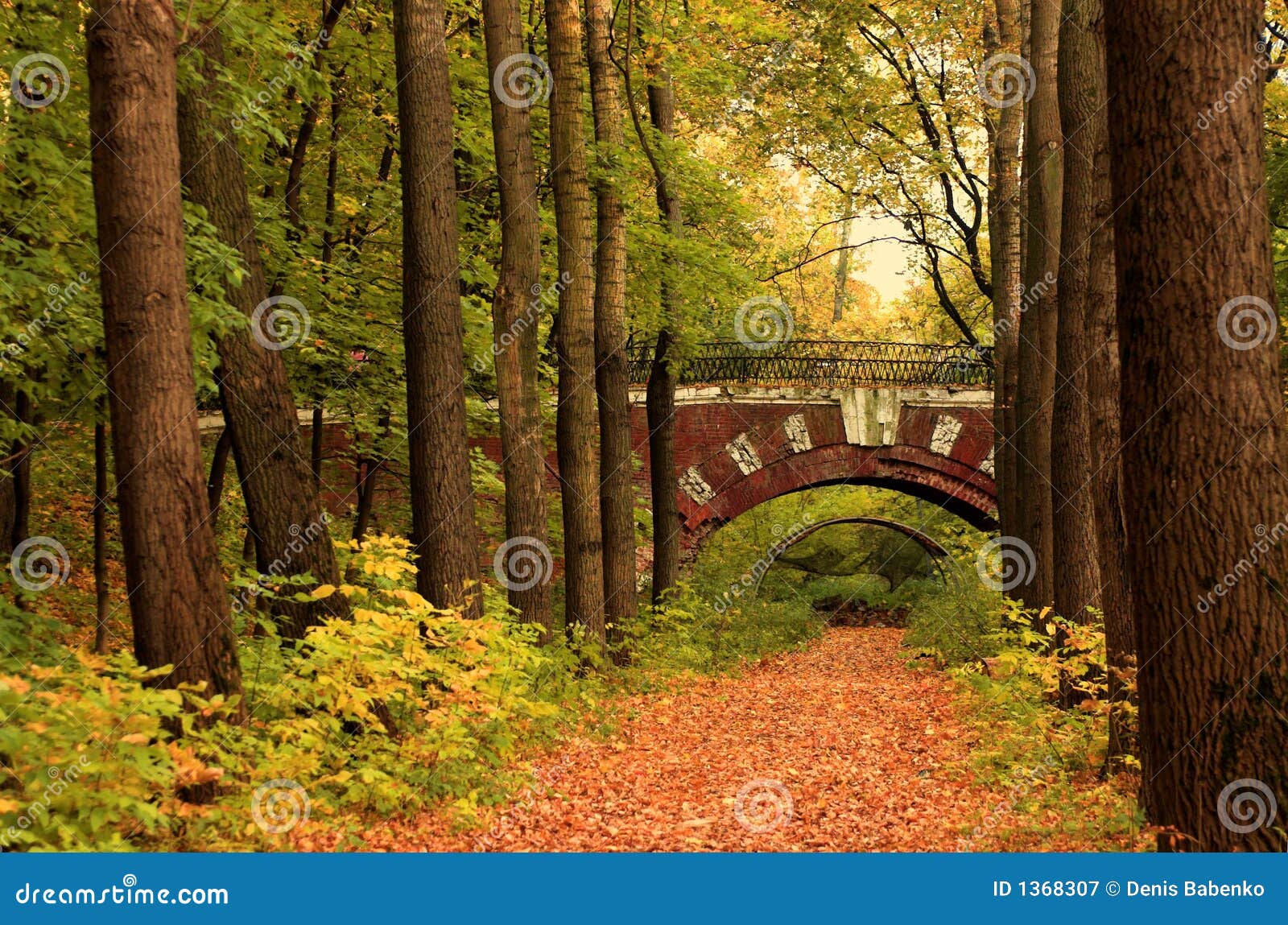 Brick Bridge in the Autumn Forest Stock Image - Image of canada ...