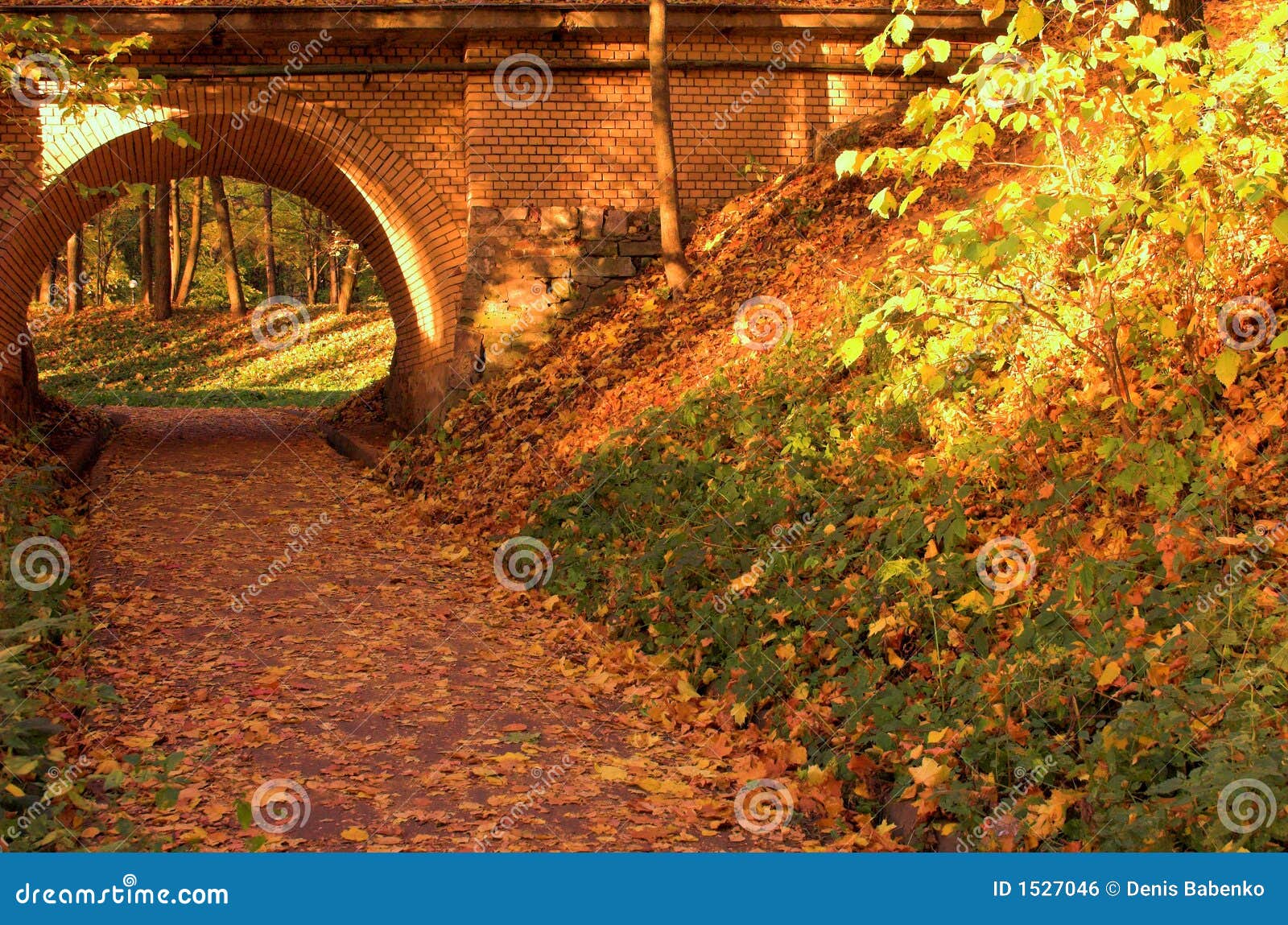 Brick Bridge in the Autumn Forest in Russia Stock Photo - Image of ...