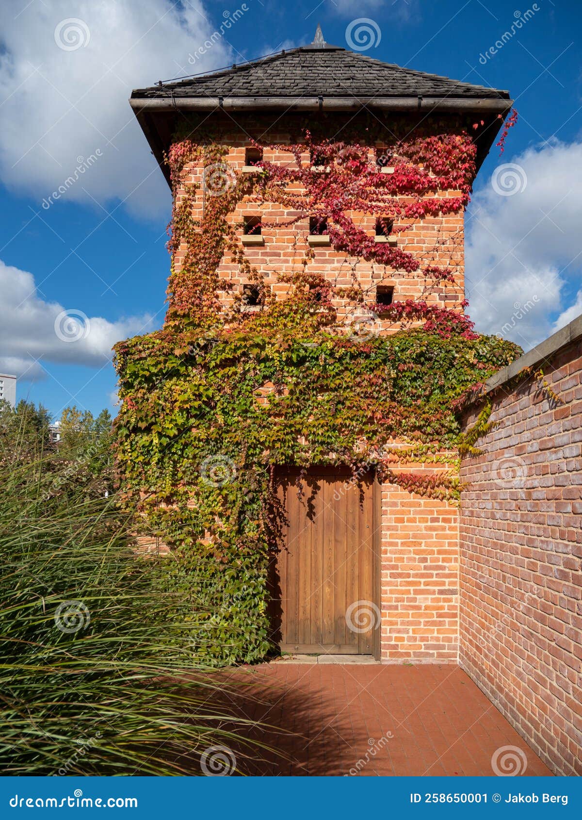 Brick Building in the Park Overgrown with Loach. Stock Image - Image of ...