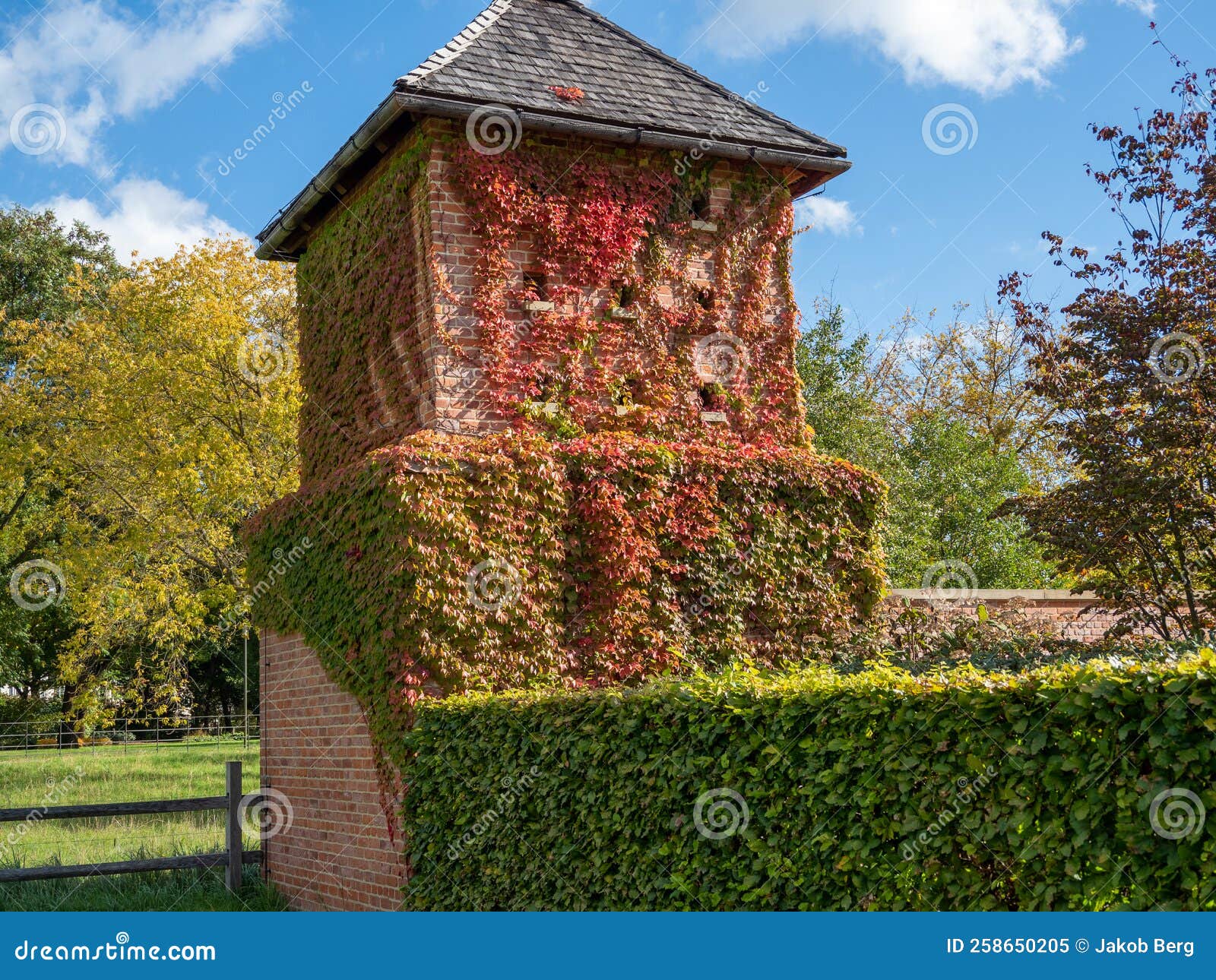 Brick Building in the Park Overgrown with Loach. Stock Image - Image of ...