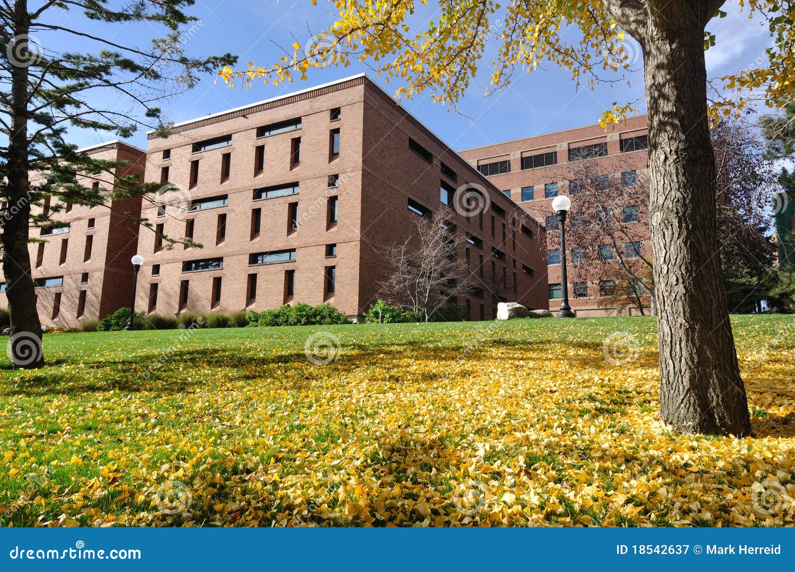 Brick Building on University Campus Stock Image - Image of school, paul ...