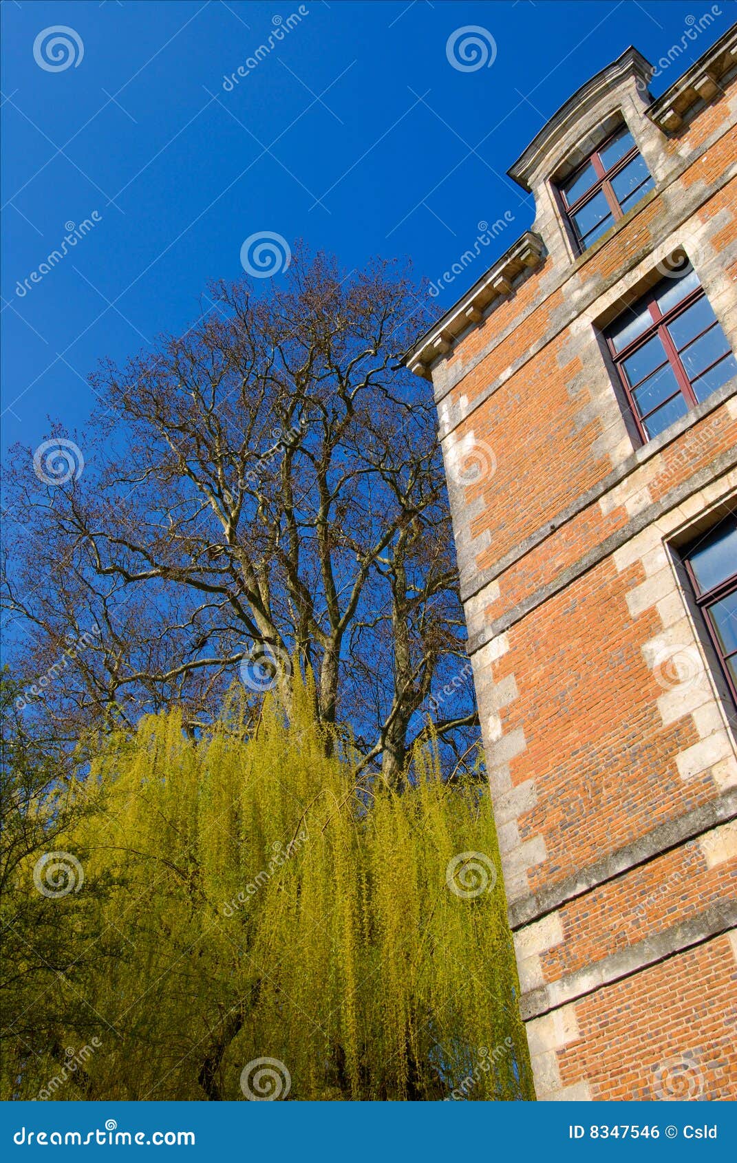 Brick Building and Willow Tree Stock Photo - Image of green, plant: 8347546