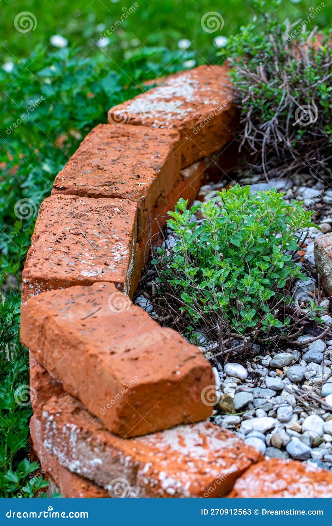 Brick Circle for Herbal Garden Stock Image - Image of texture, design ...