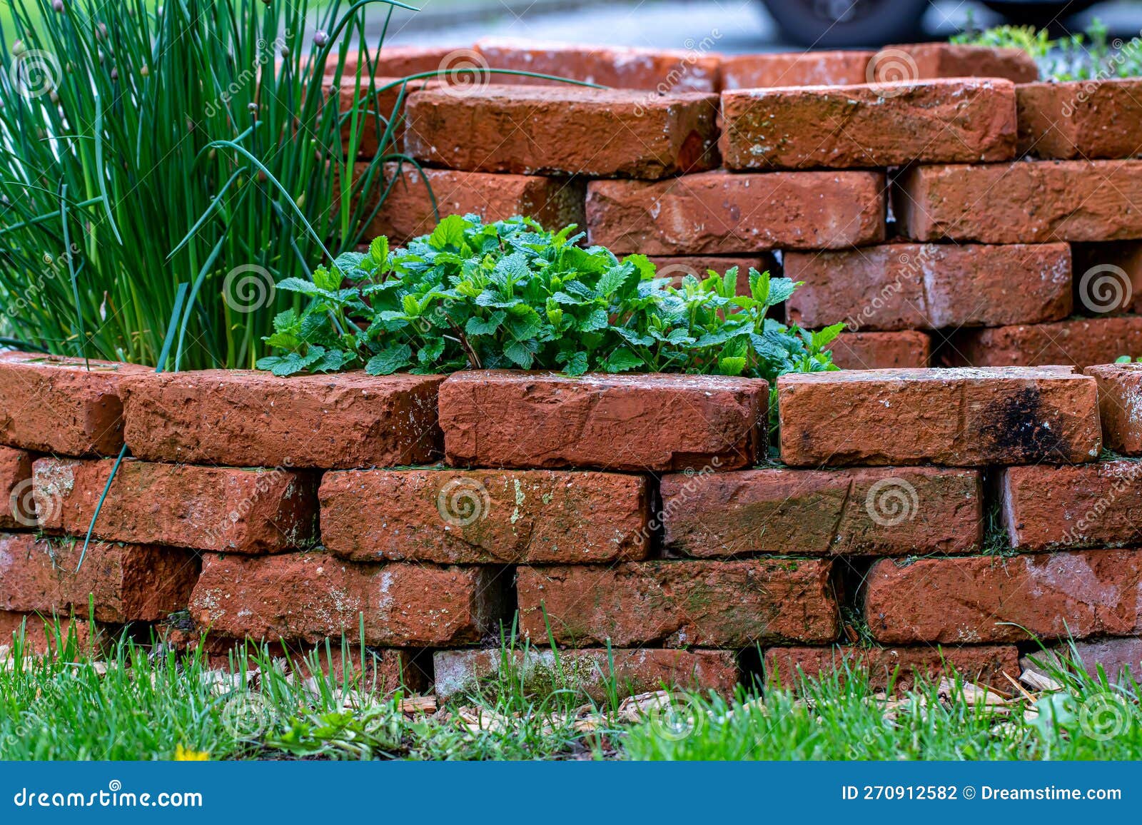 Brick Circle for Herbal Garden Stock Photo - Image of spiral, object ...
