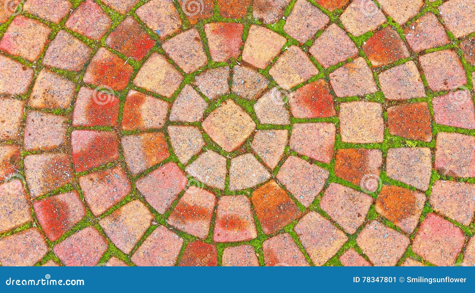 Brick Circle Pattern on the Sidewalk Stock Image - Image of background ...