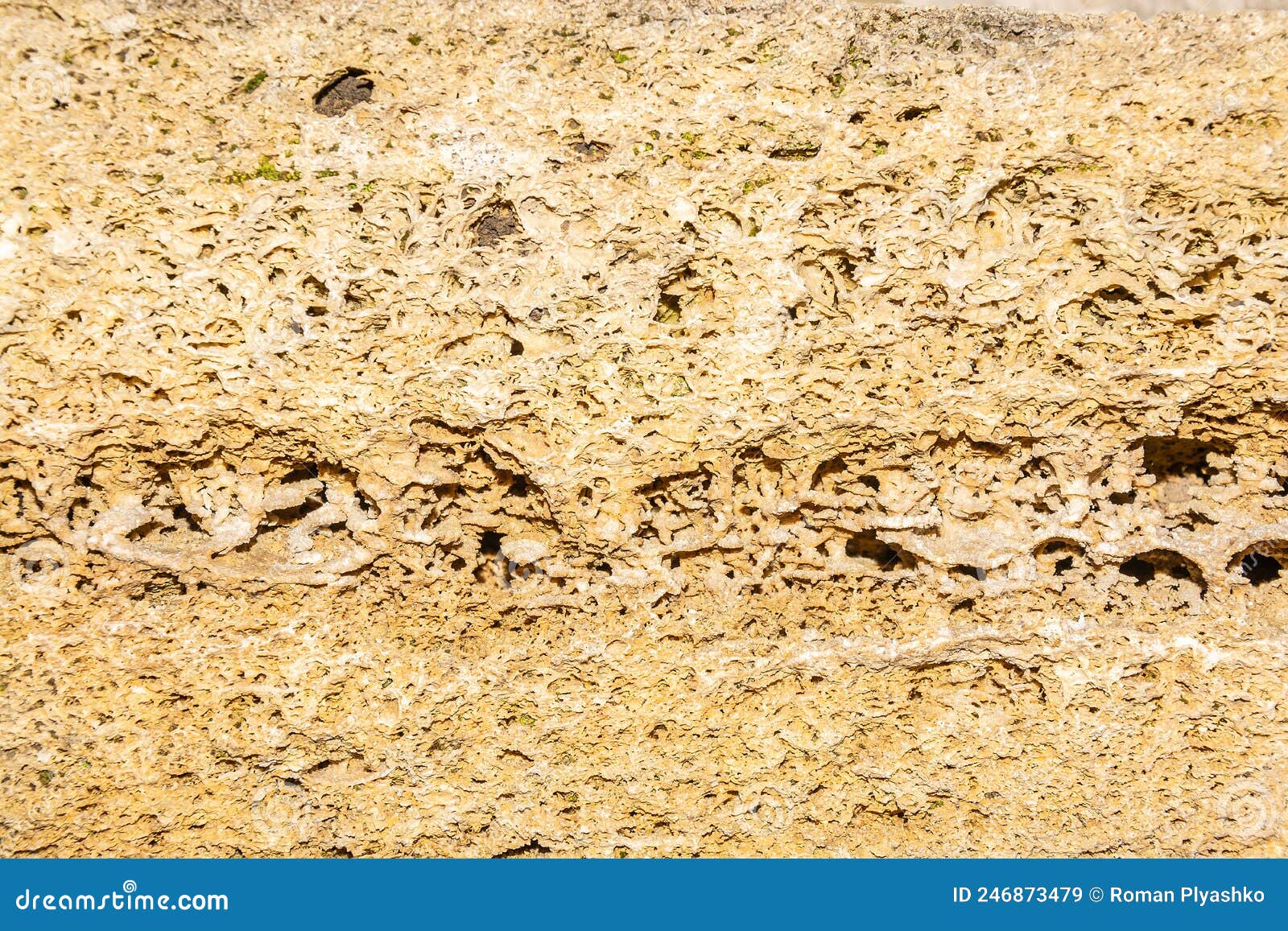 Close Up Of Textured Concrete Masonry Wall For Backgrounds Royalty-Free ...