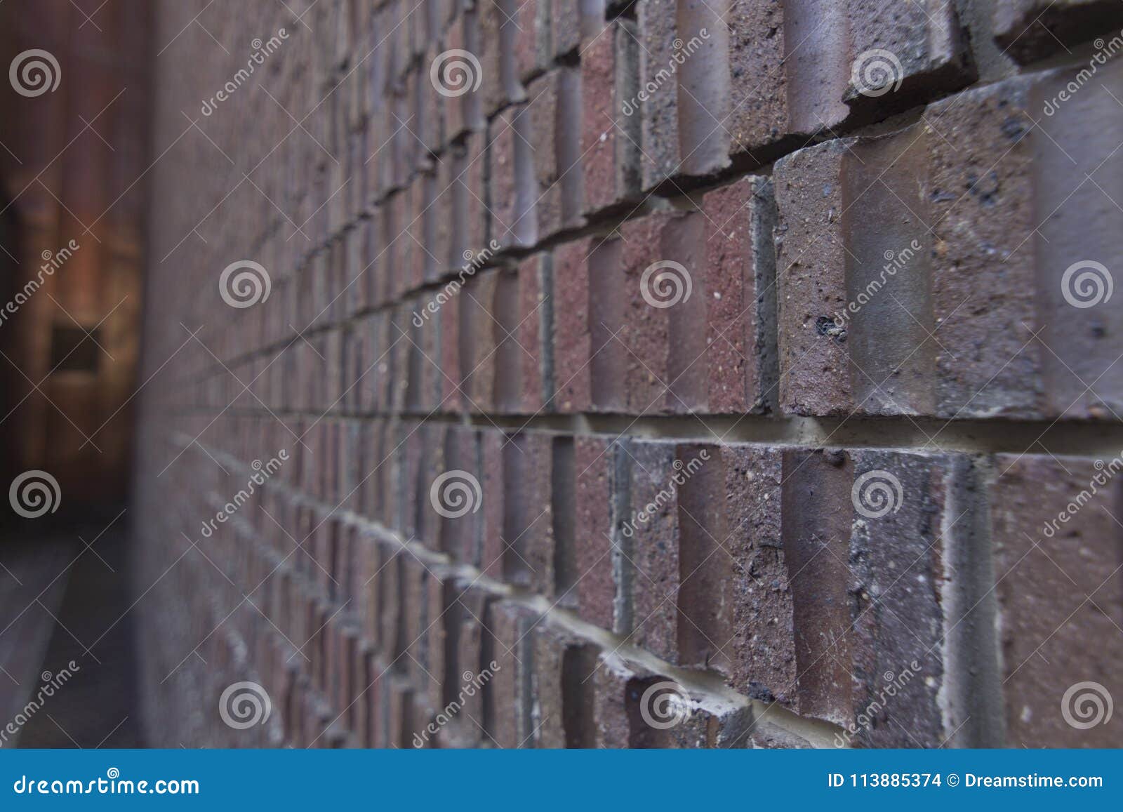 Brick cut in half texture stock photo. Image of forestn - 113885374
