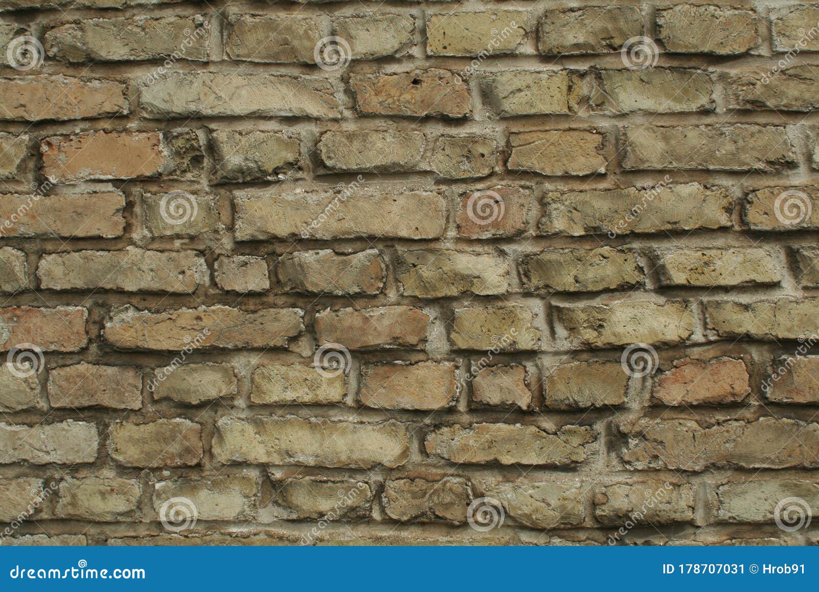 Prison Wall Texture