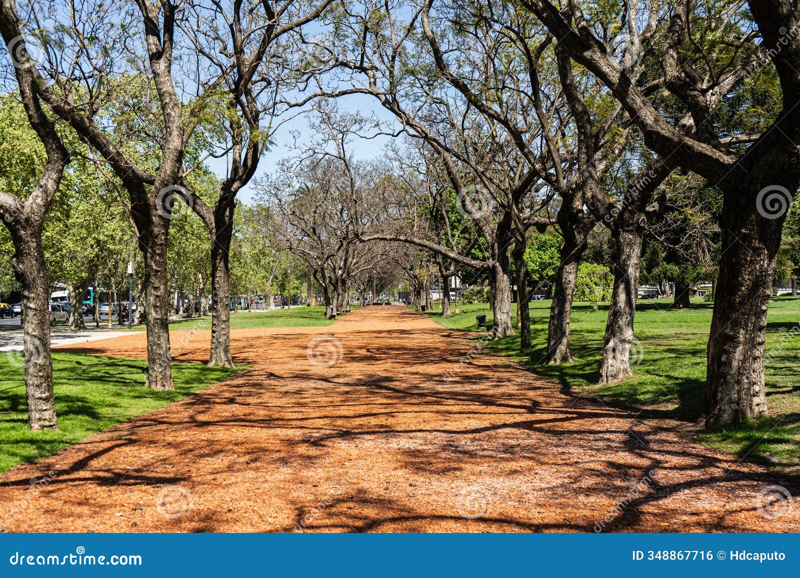 Brick Dust Pedestrian Path with Trees on the Sides in a Square. Stock ...